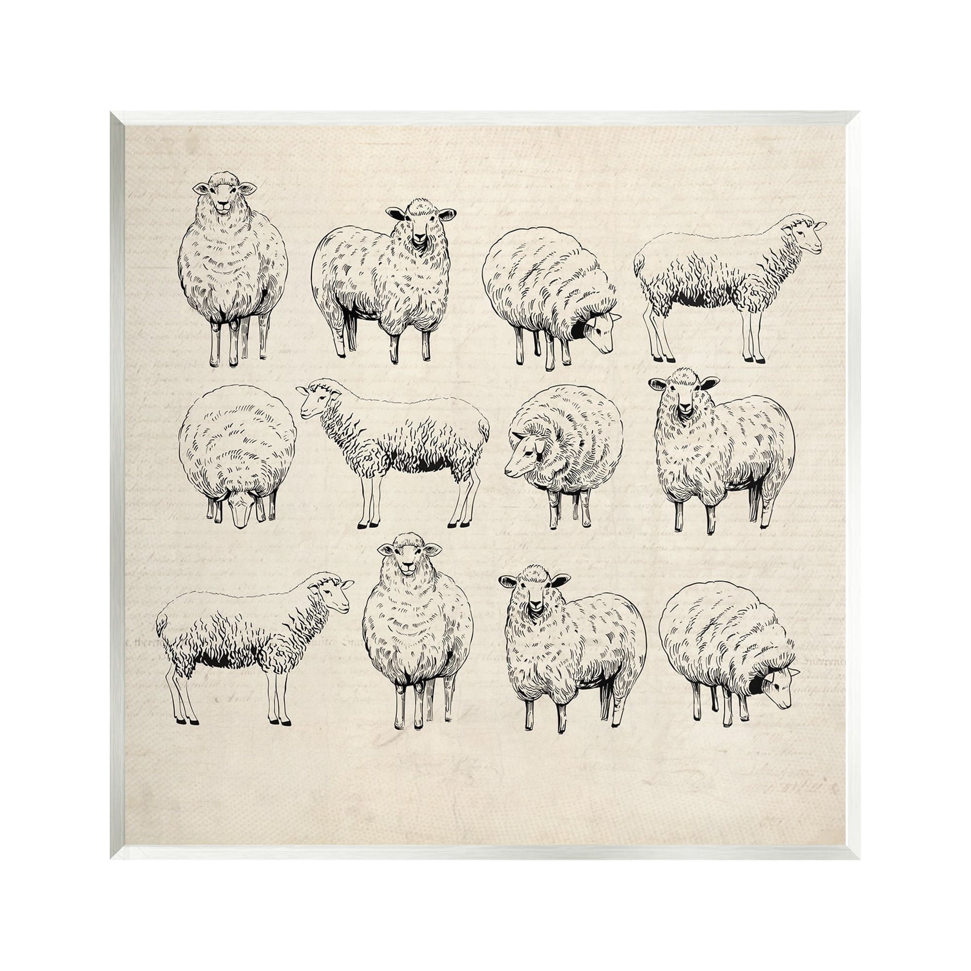 Stupell Industries Vintage Sheep Drawings Animals & Insects Painting ...