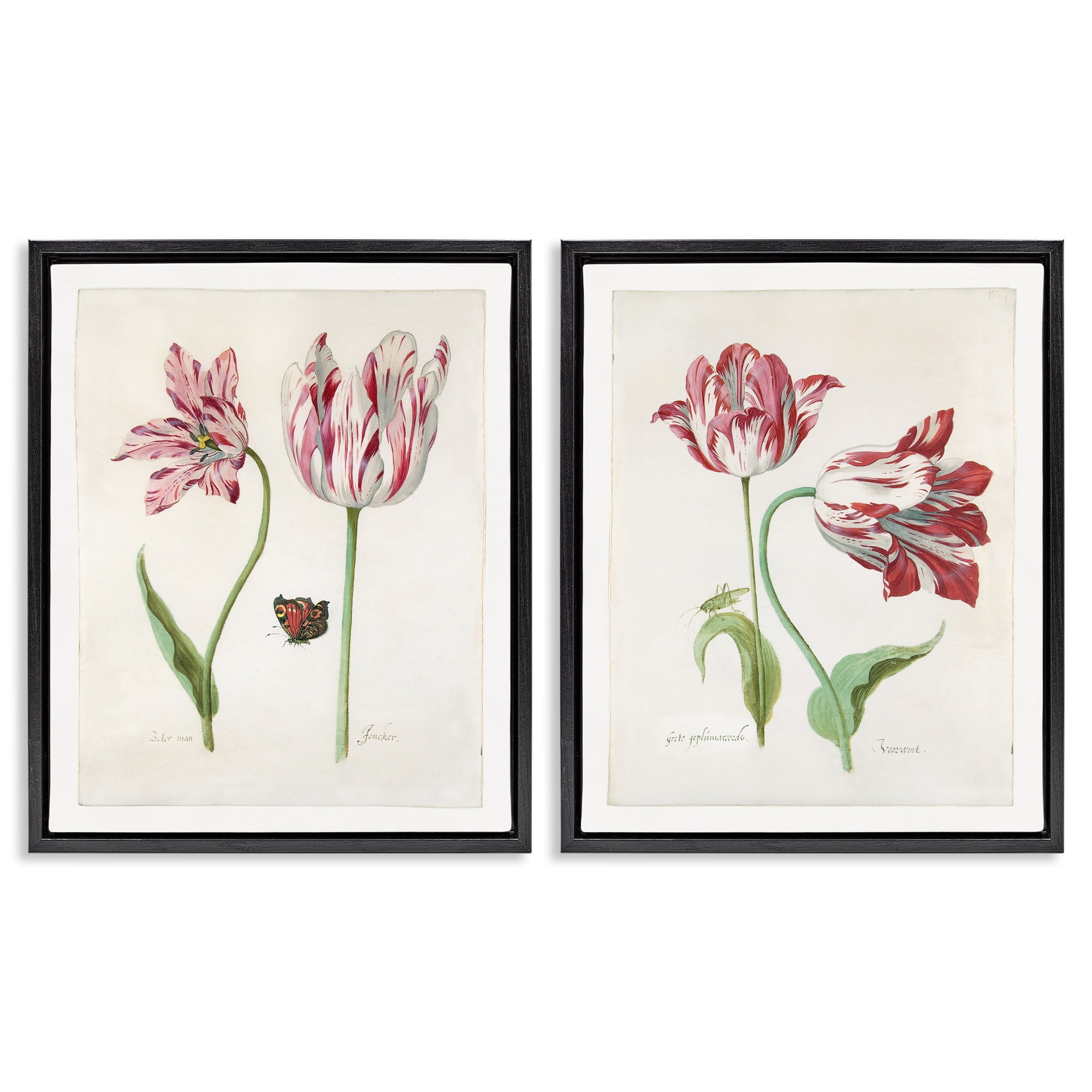 Stupell Industries Vintage Tulip & Insect Studies Floral & Botanical ...