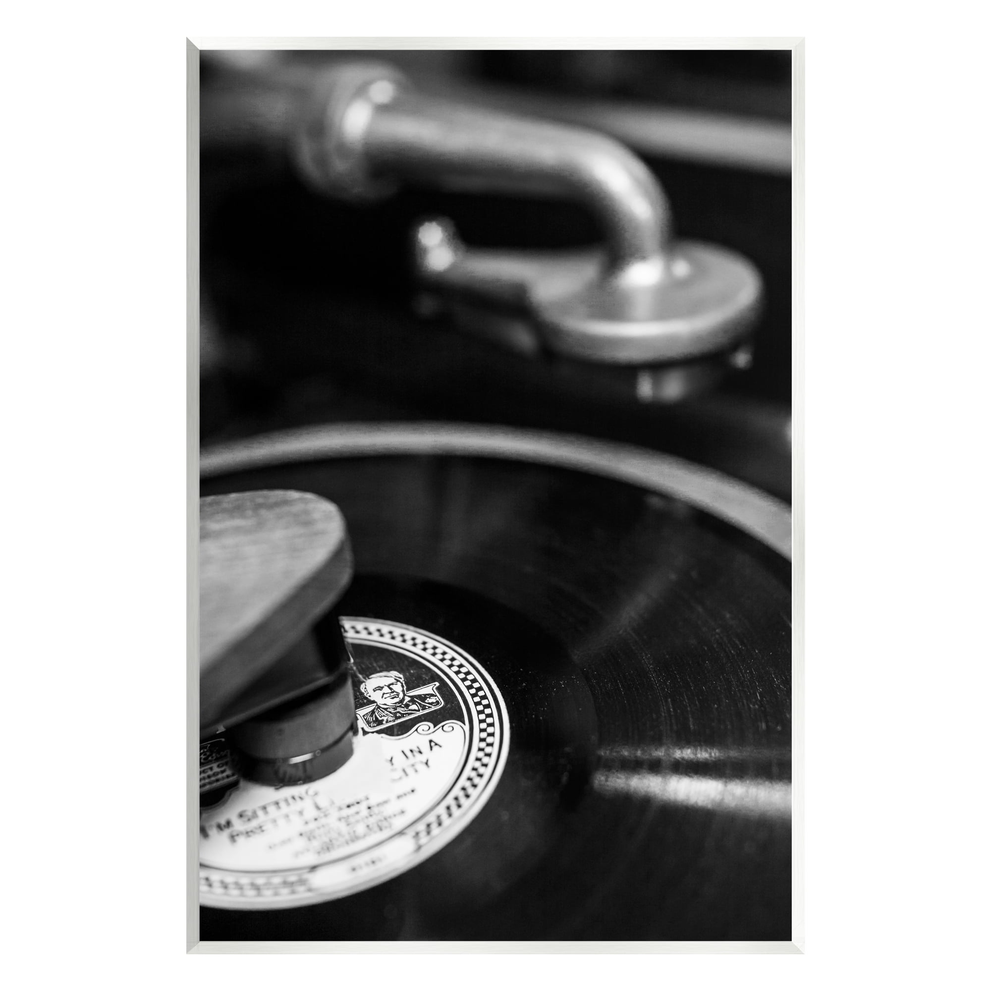 Stupell Industries Vintage Vinyl Record Nature Photography Unframed Art ...