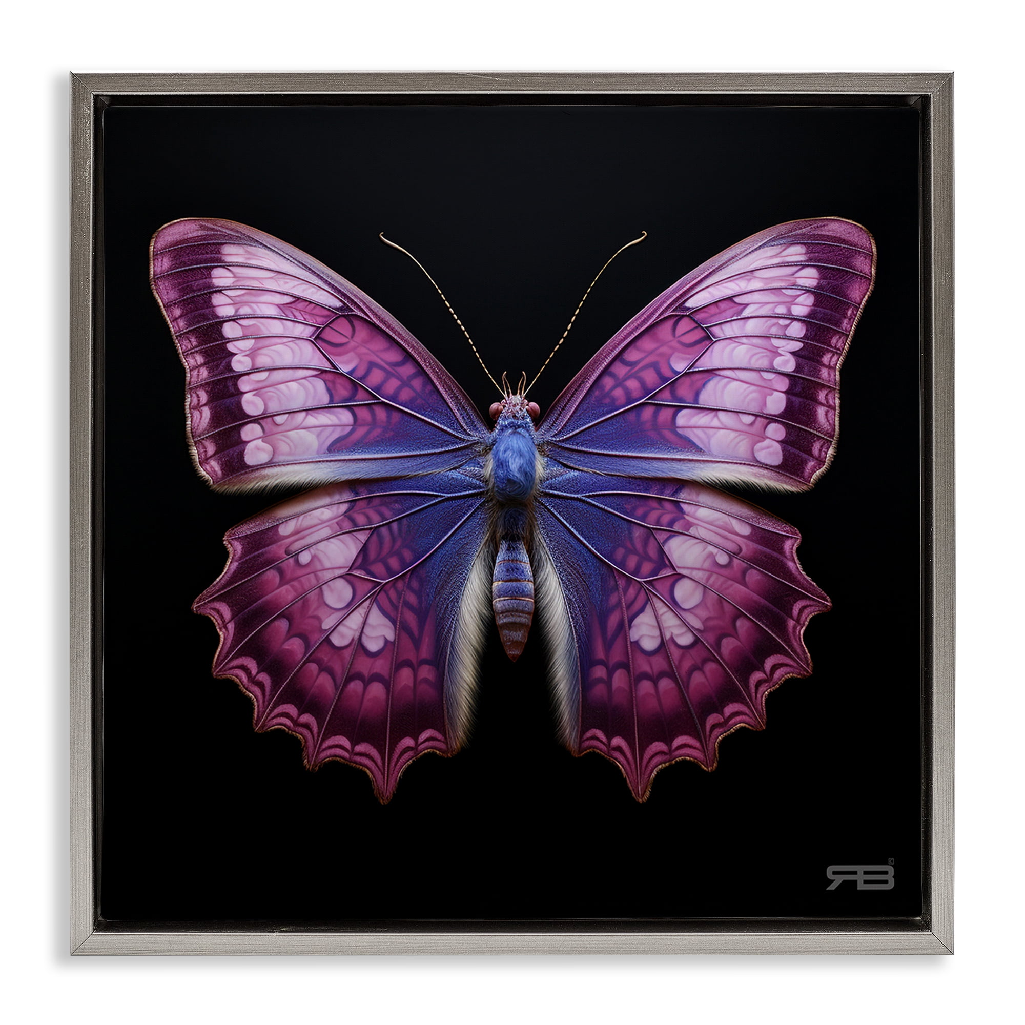 Stupell Industries Vivid Purple Butterfly Animals & Insects Painting ...