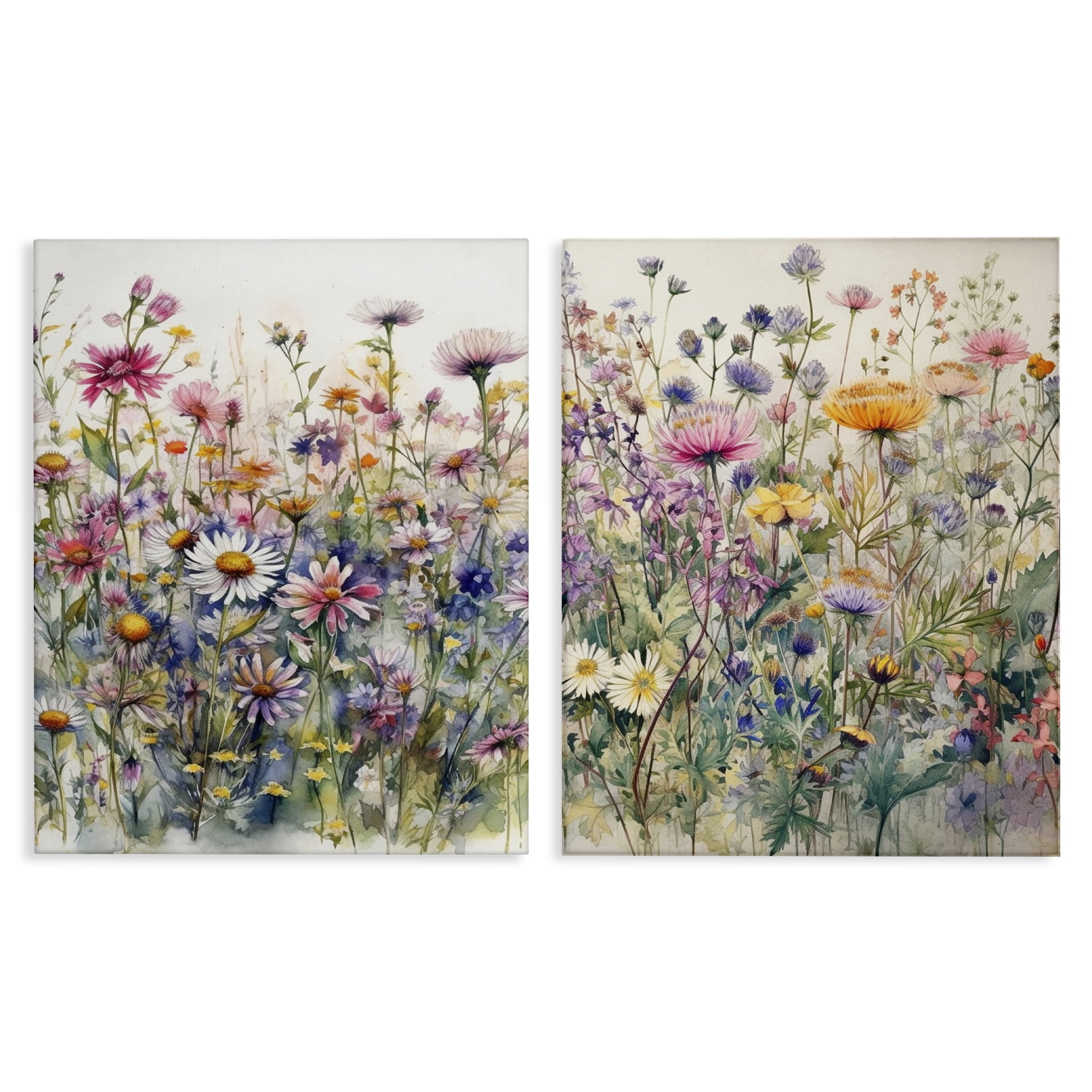 Stupell Industries Watercolor Daisy & Aster Field Plants & Flowers ...