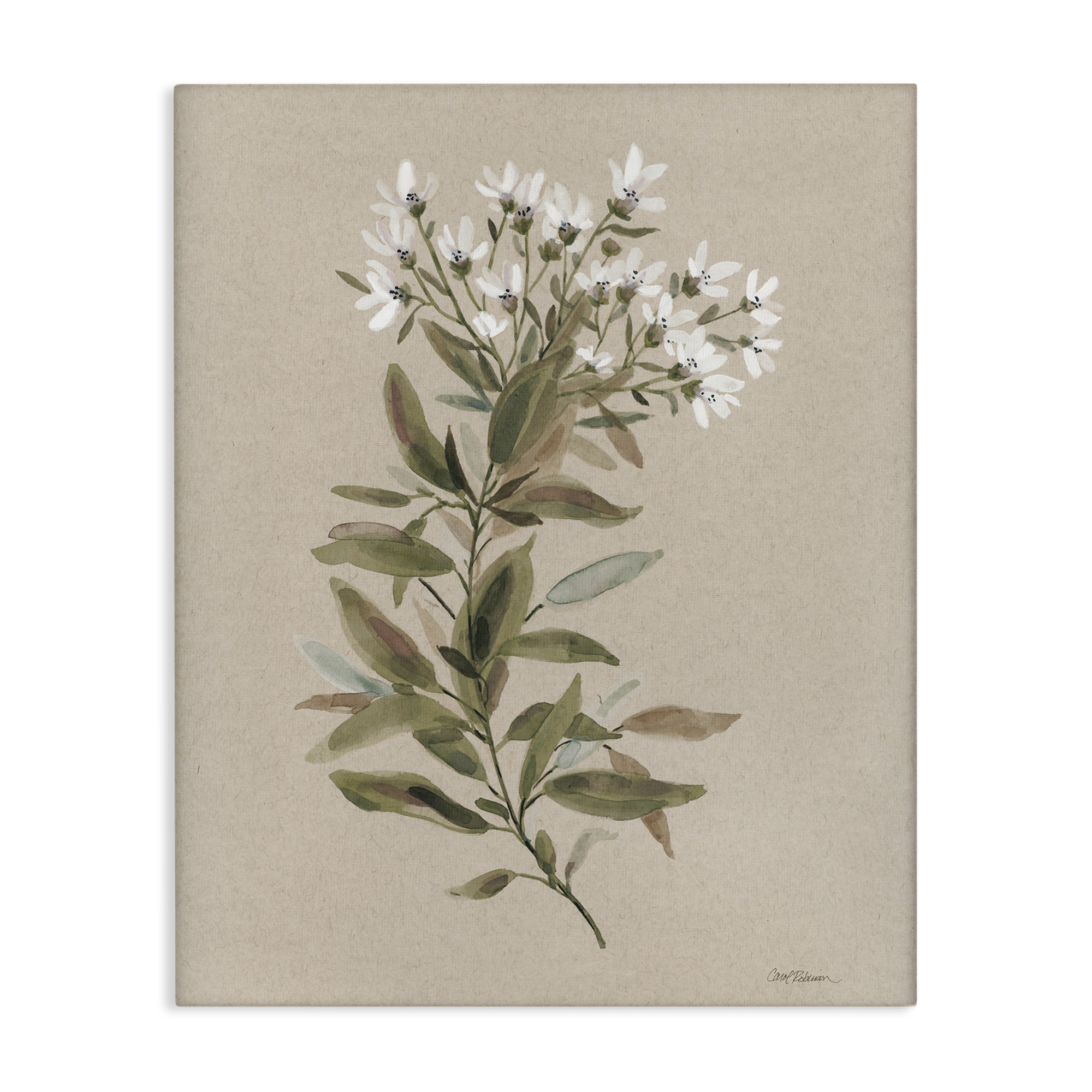 Stupell Industries Watercolor Wildflower Sprig Botanical & Floral ...