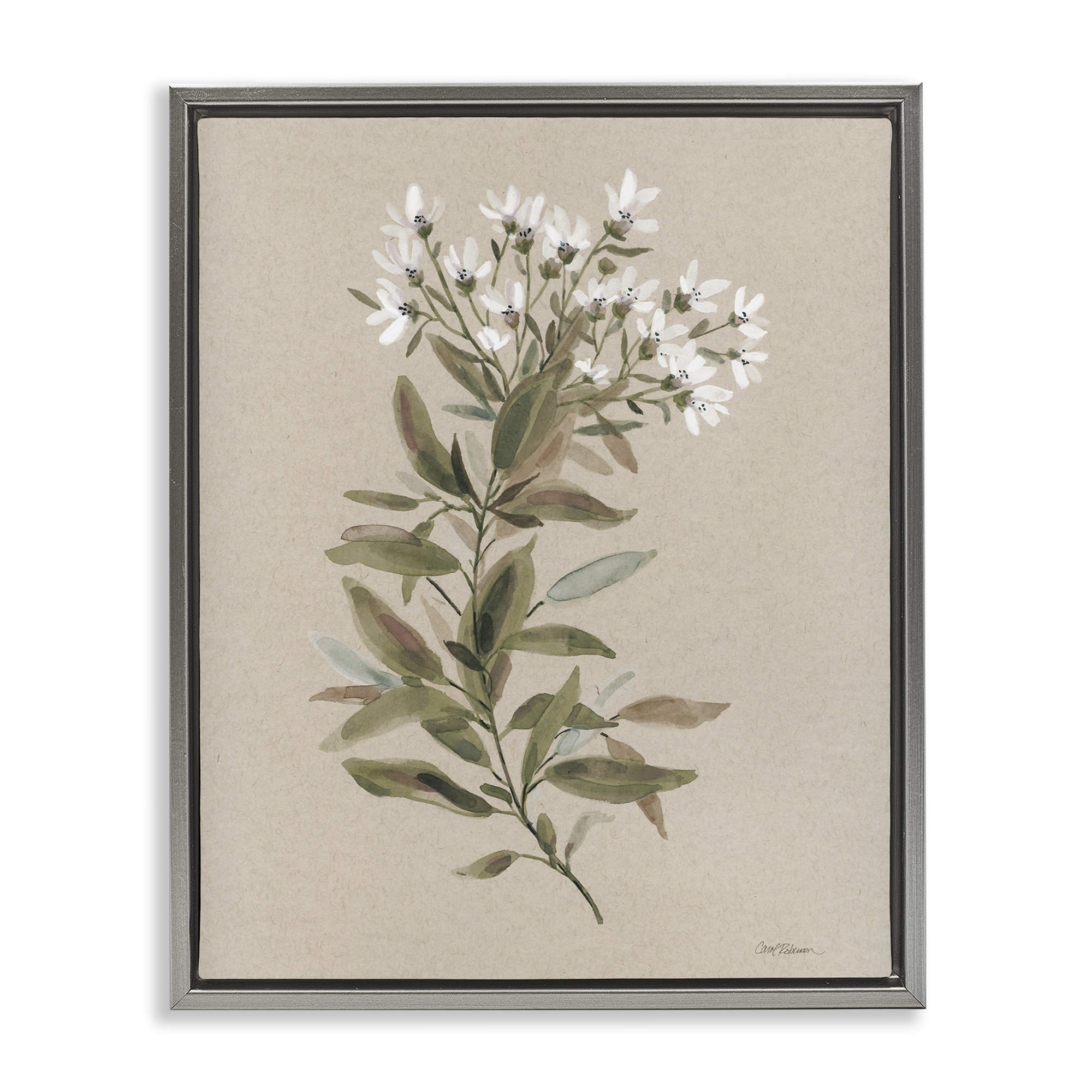 Stupell Industries Watercolor Wildflower Sprig Botanical & Floral ...