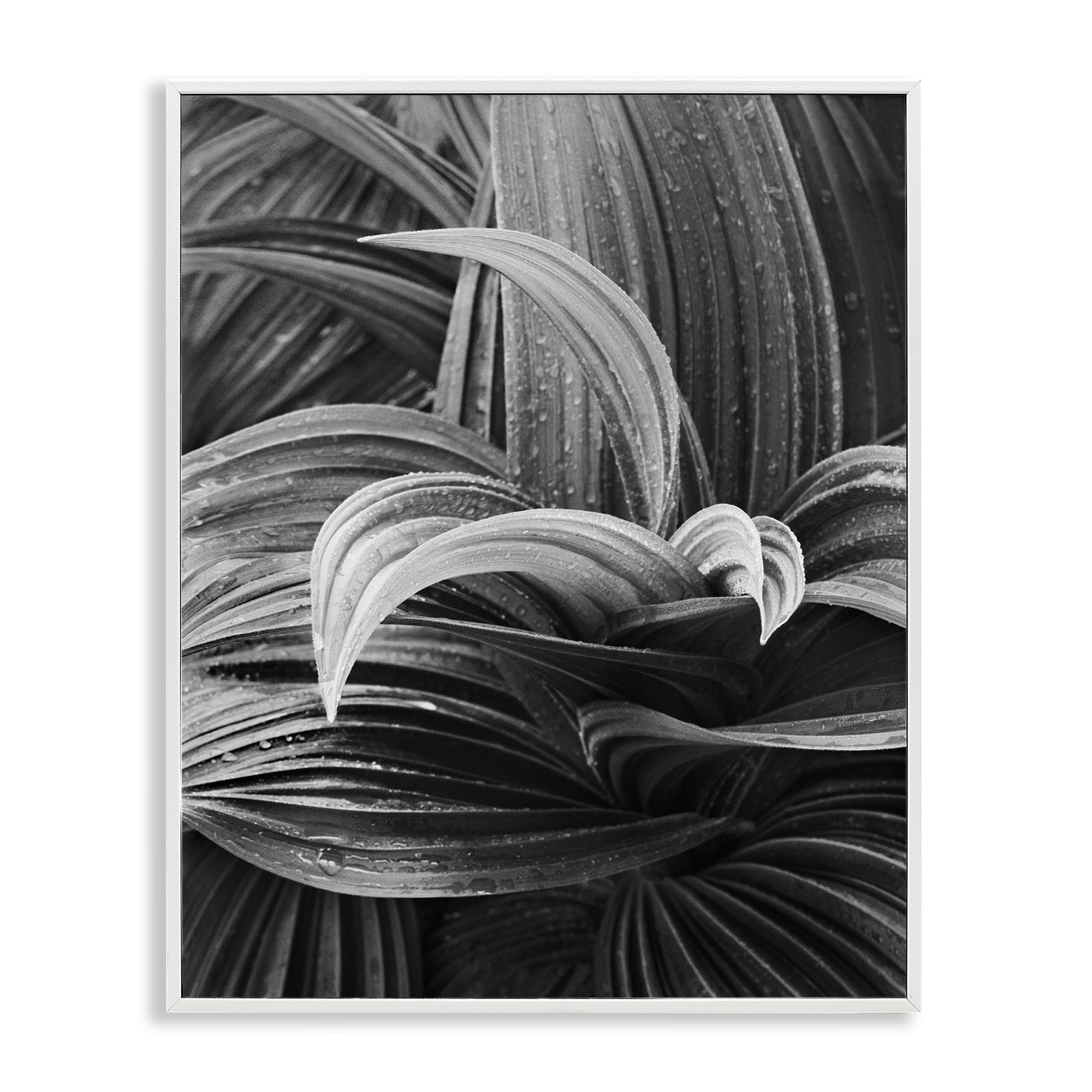Stupell Industries Wet Leaves Detail Botanical & Floral Photography ...