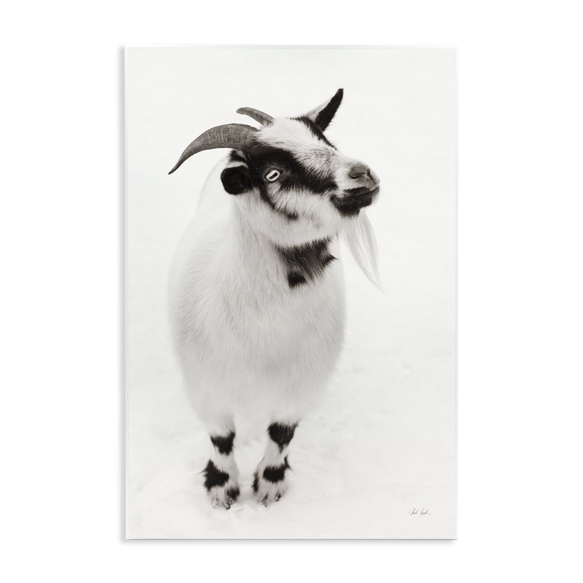 Stupell Industries White Little Goat Wall Plaque Art design by Deborah ...