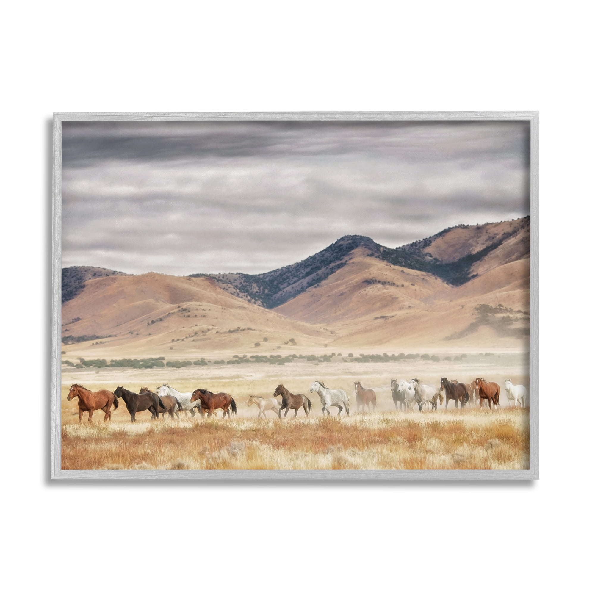 Stupell Industries Wild Horses Roaming Across Western Landscape ...