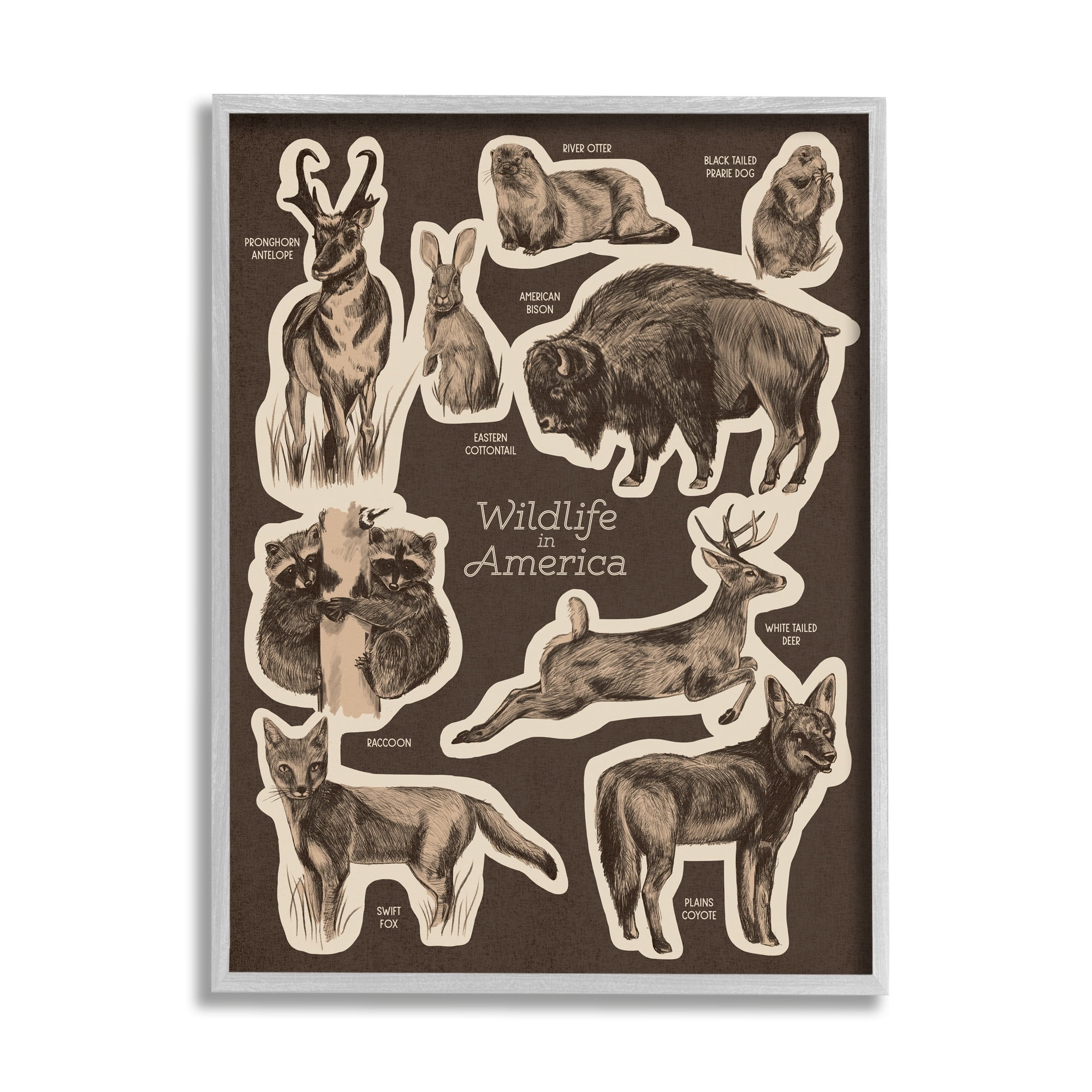 Free Shipping! Stupell Industries Wildlife Animals Chart Brown Framed ...