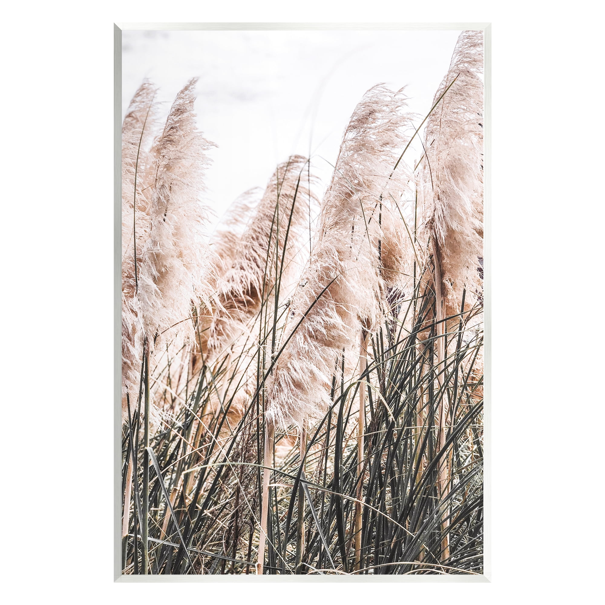Stupell Industries Windblown Reeds Photography Botanical & Floral ...