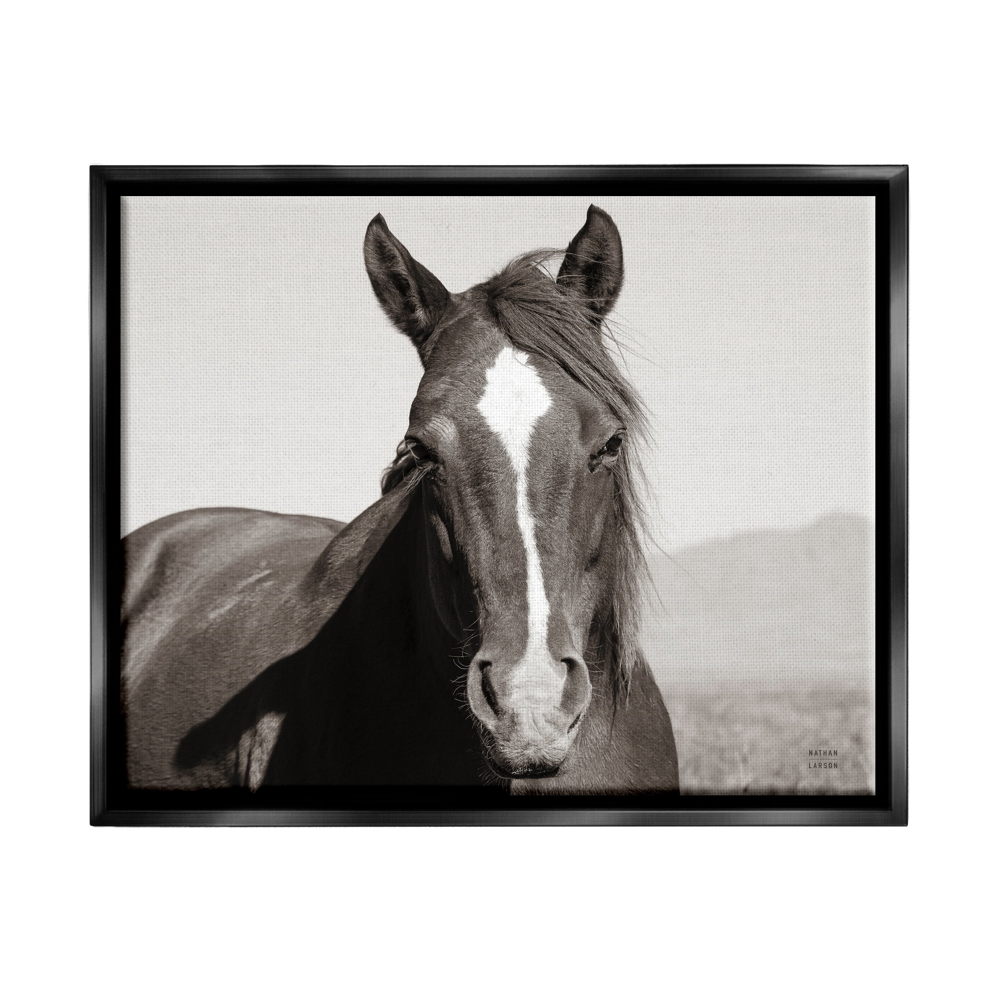 Stupell Industries Windblown Stallion Portrait Animals & Insects ...