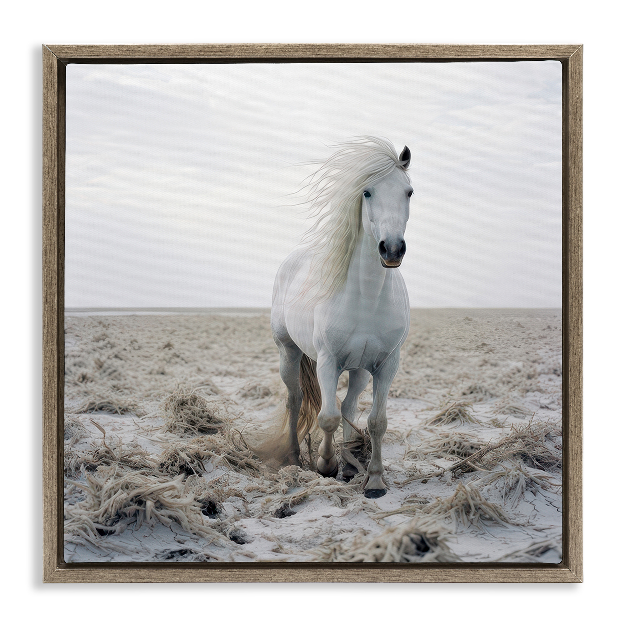 Stupell Industries Windswept Beach Horse Animals Photography Brown ...
