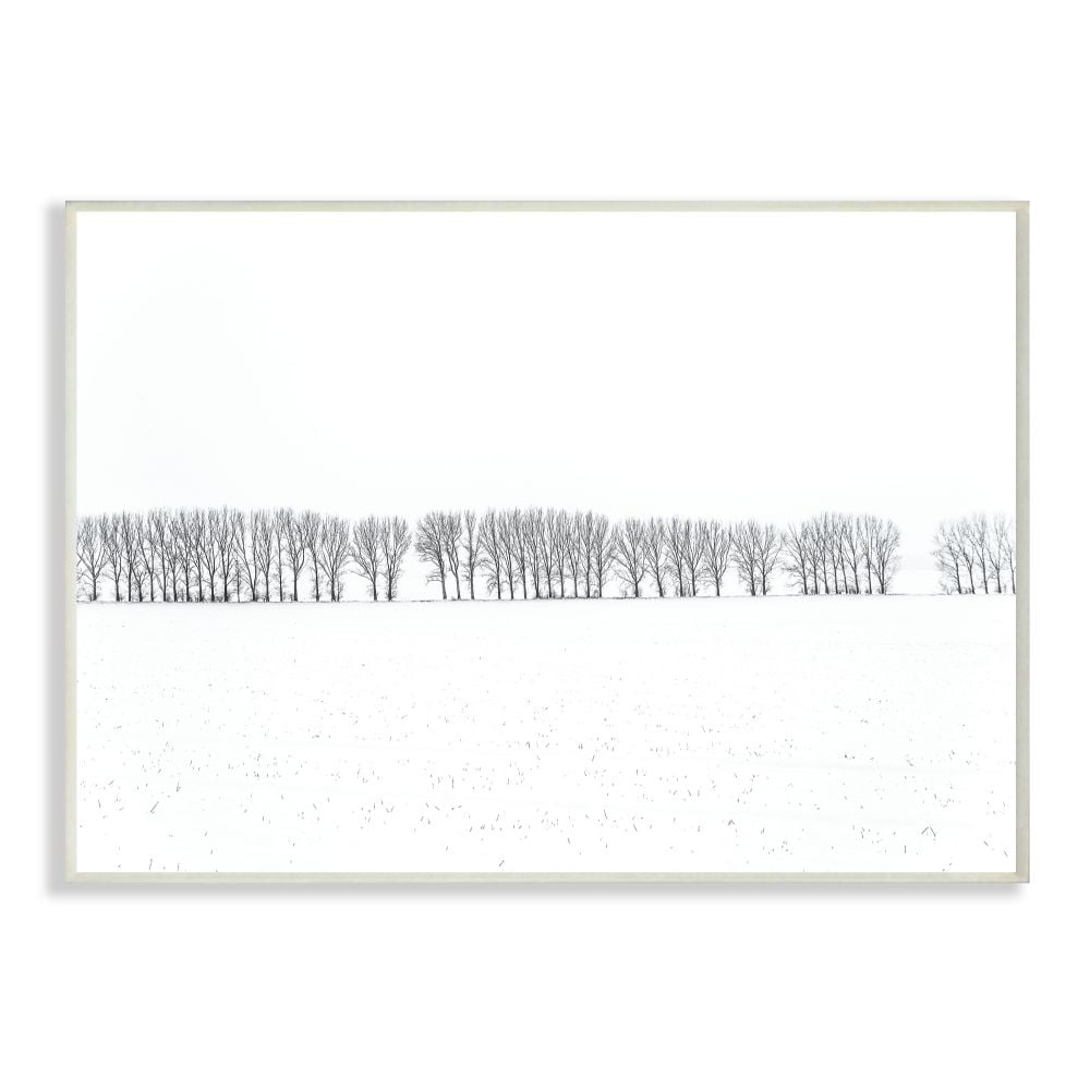 Stupell Industries Winter Tree Line Photograph Wall Plaque by Matthias ...