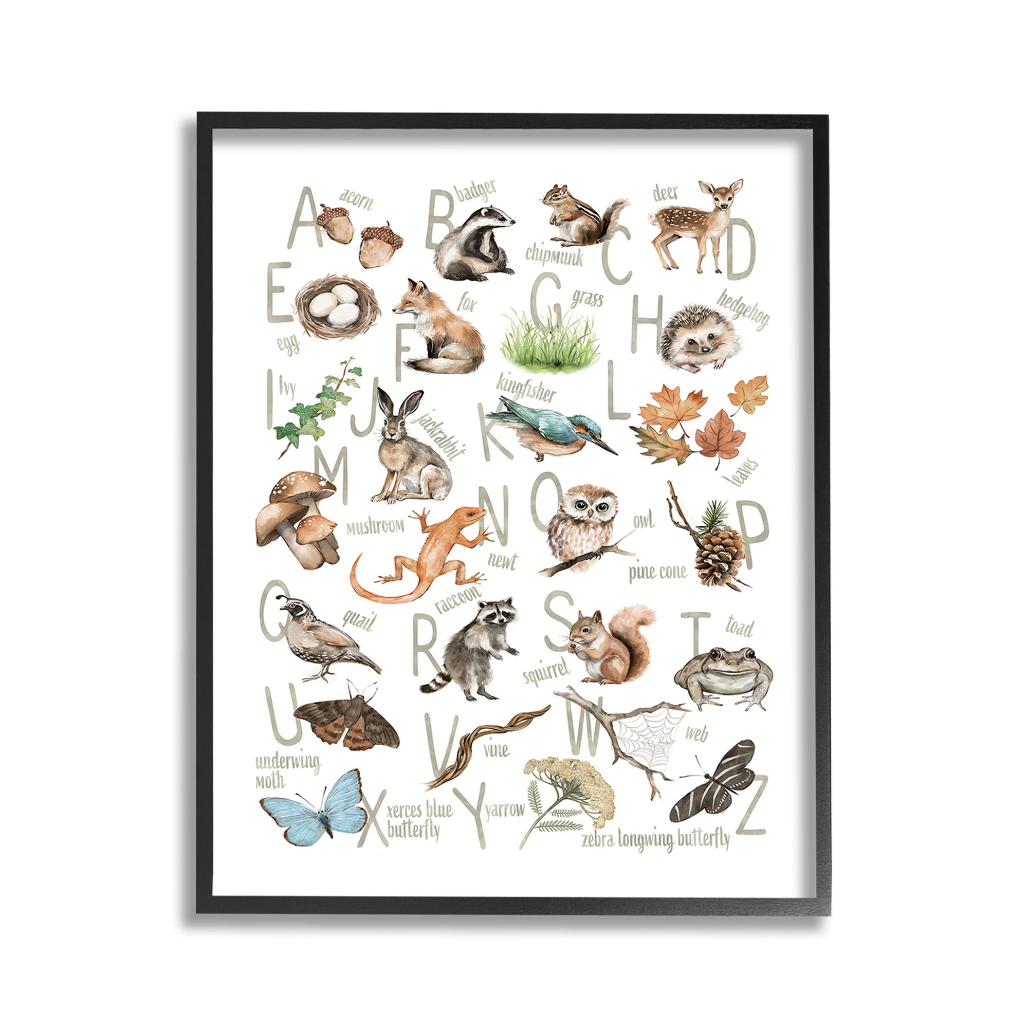 Stupell Industries Woodland Nature Alphabet Animals & Insects Painting ...