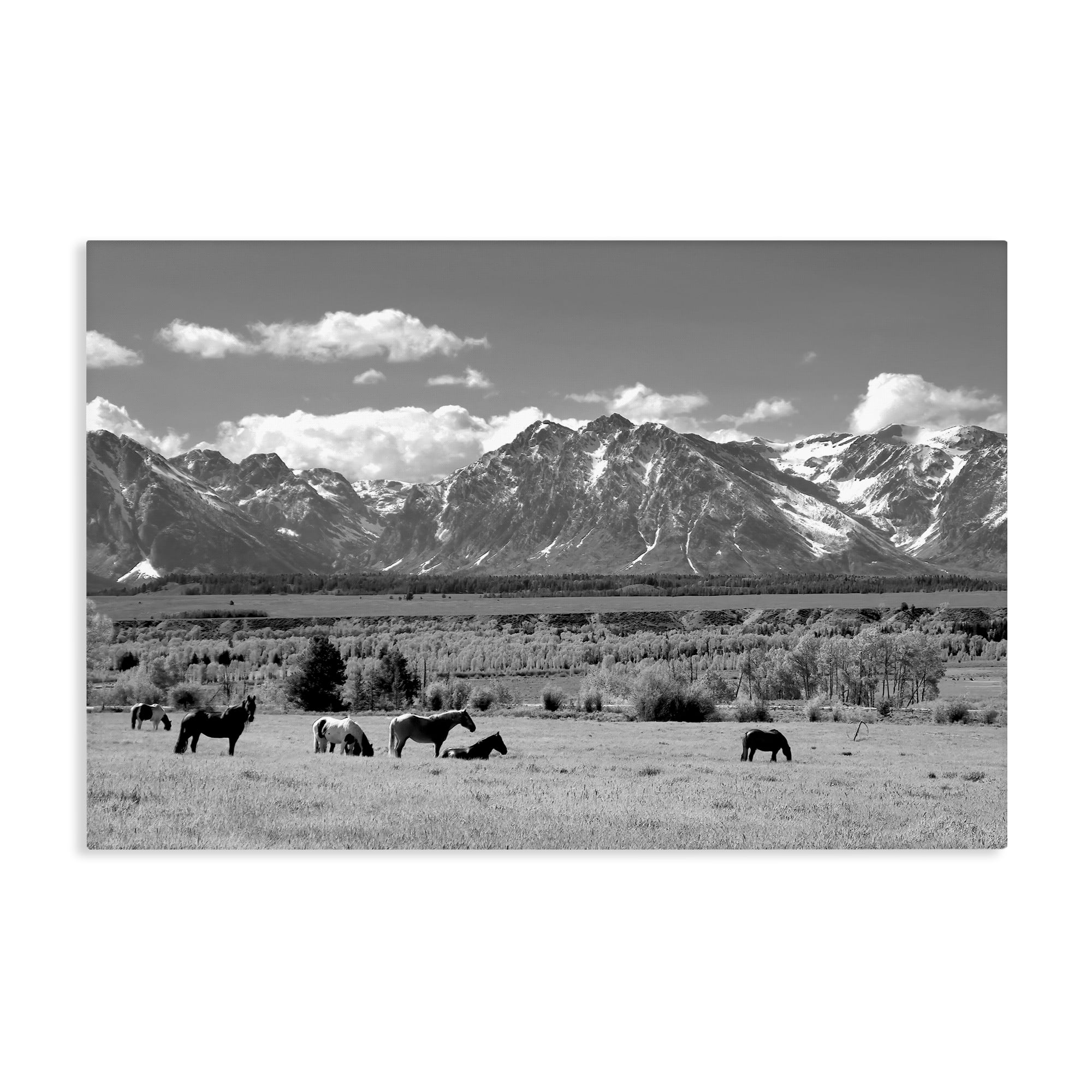 Stupell Industries Wyoming Ranch Horses Grazing Canvas Wall Art, design ...