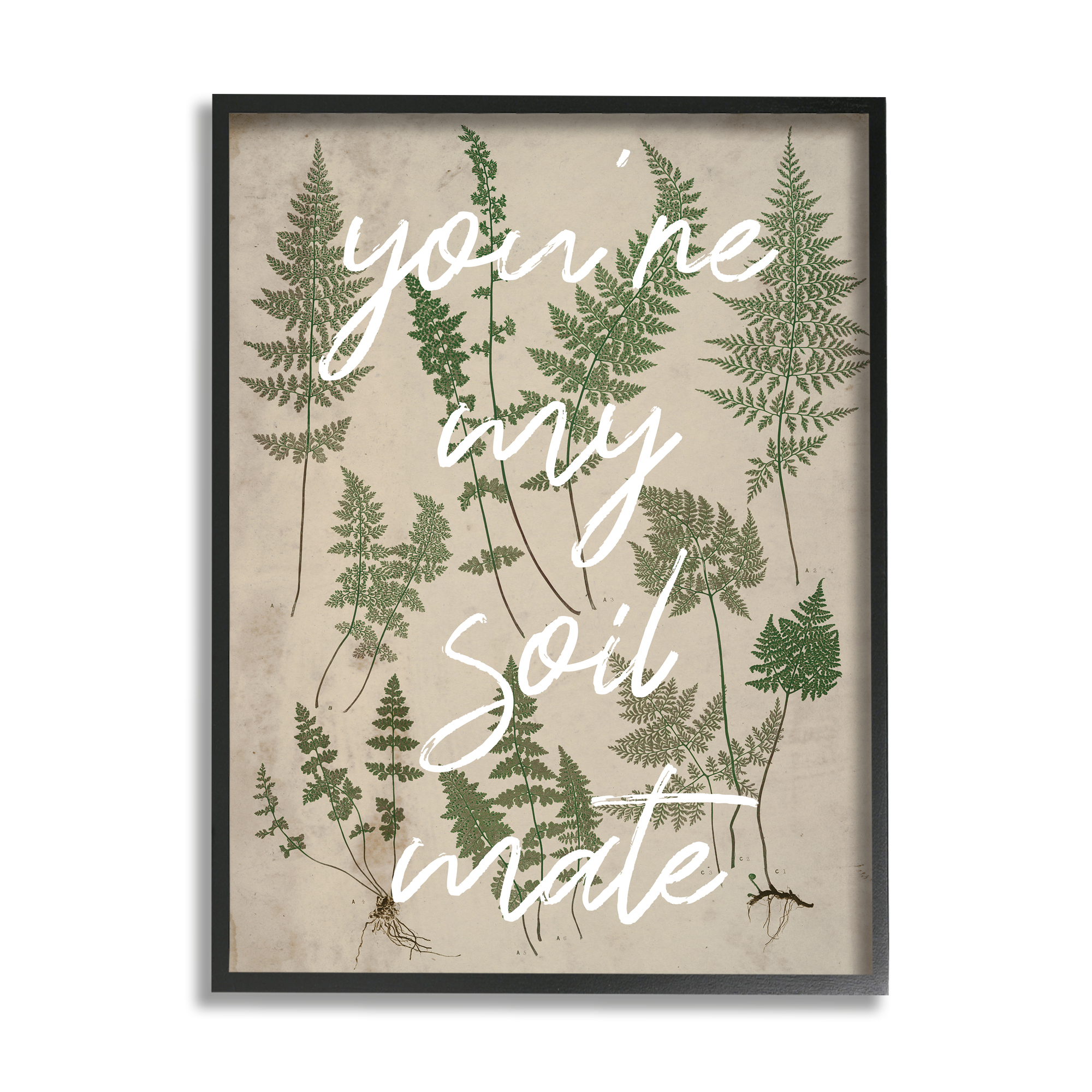 Stupell Industries You're My Soil Mate Rustic Fern Motif Calligraphy Framed Wall Art, 11 x 14 ...