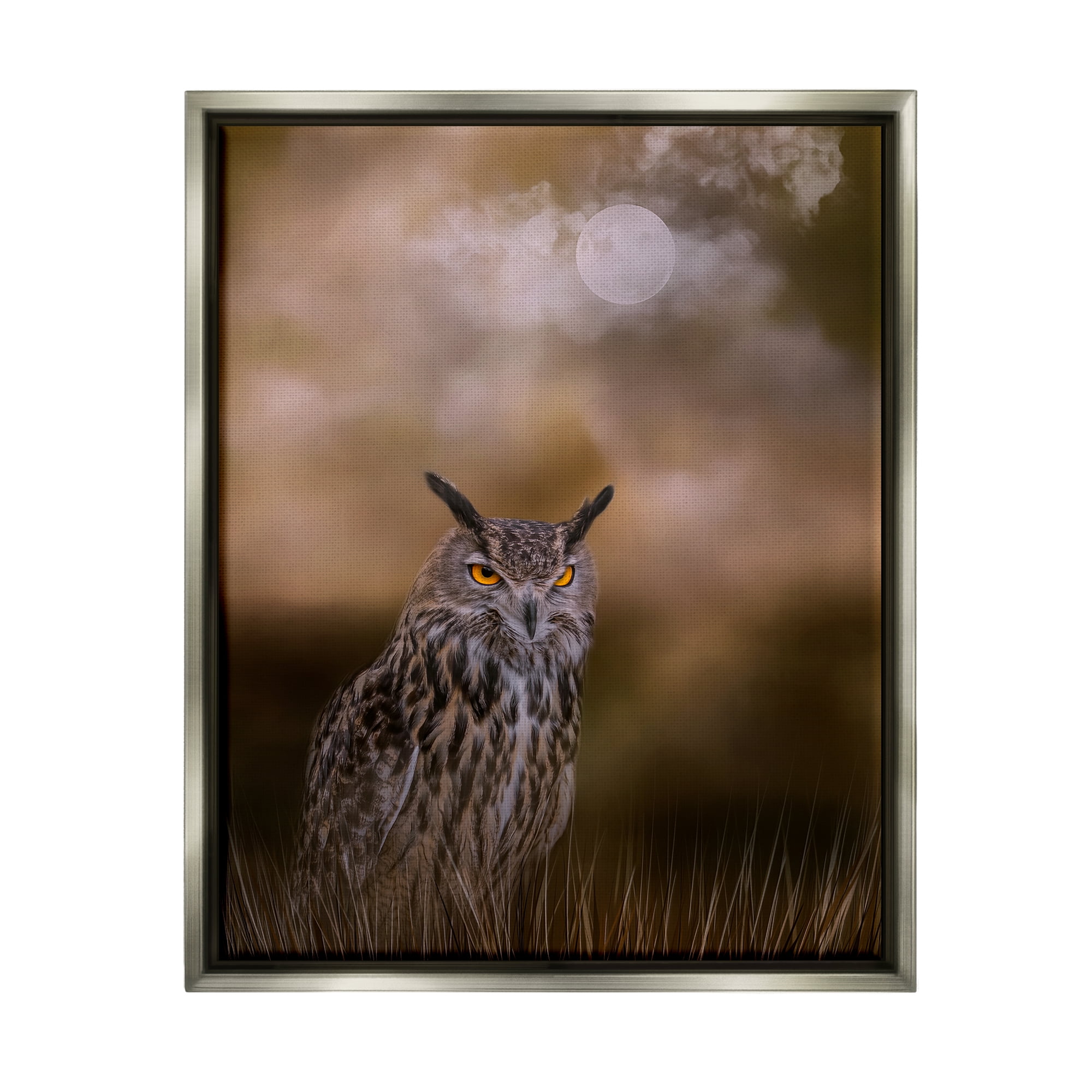 Stupell Nighttime Owl Moonlit Cloudy Sky Animals & Insects Photography ...