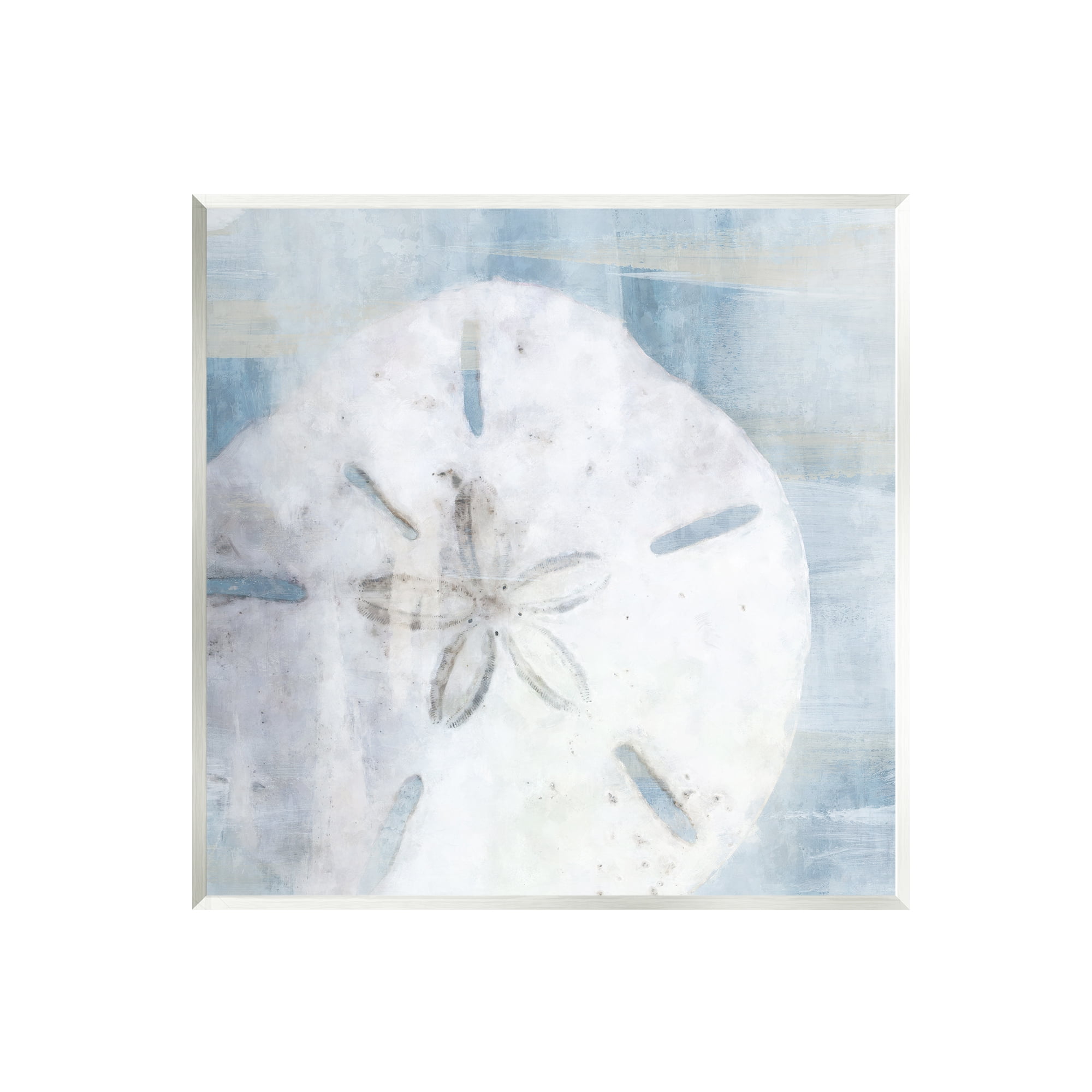Stupell Sand Dollar Seashell Wall Plaque - Nautical Beach - Walmart.com