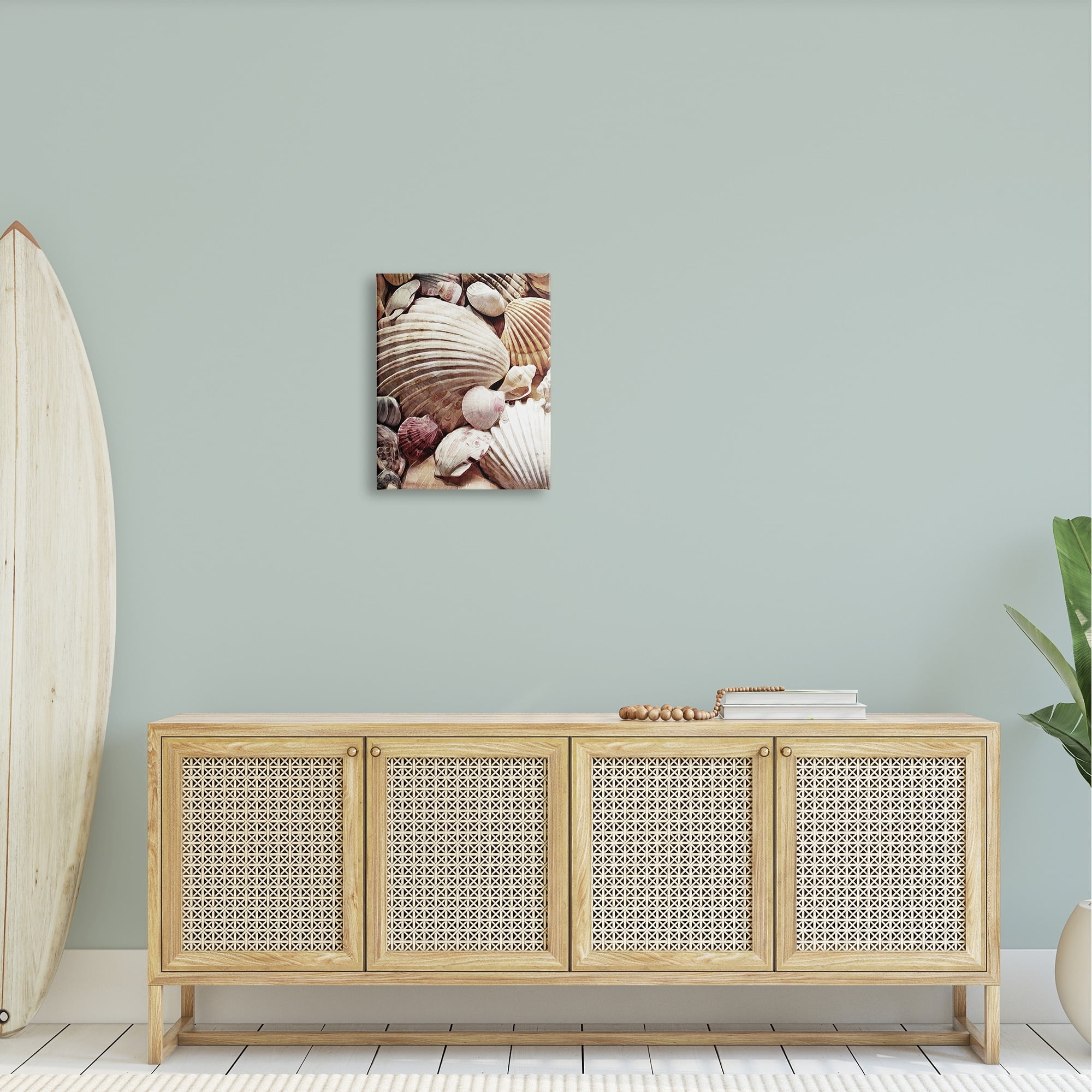 Stupell Various Nautical Clam Conch Shells Landscape Photography ...