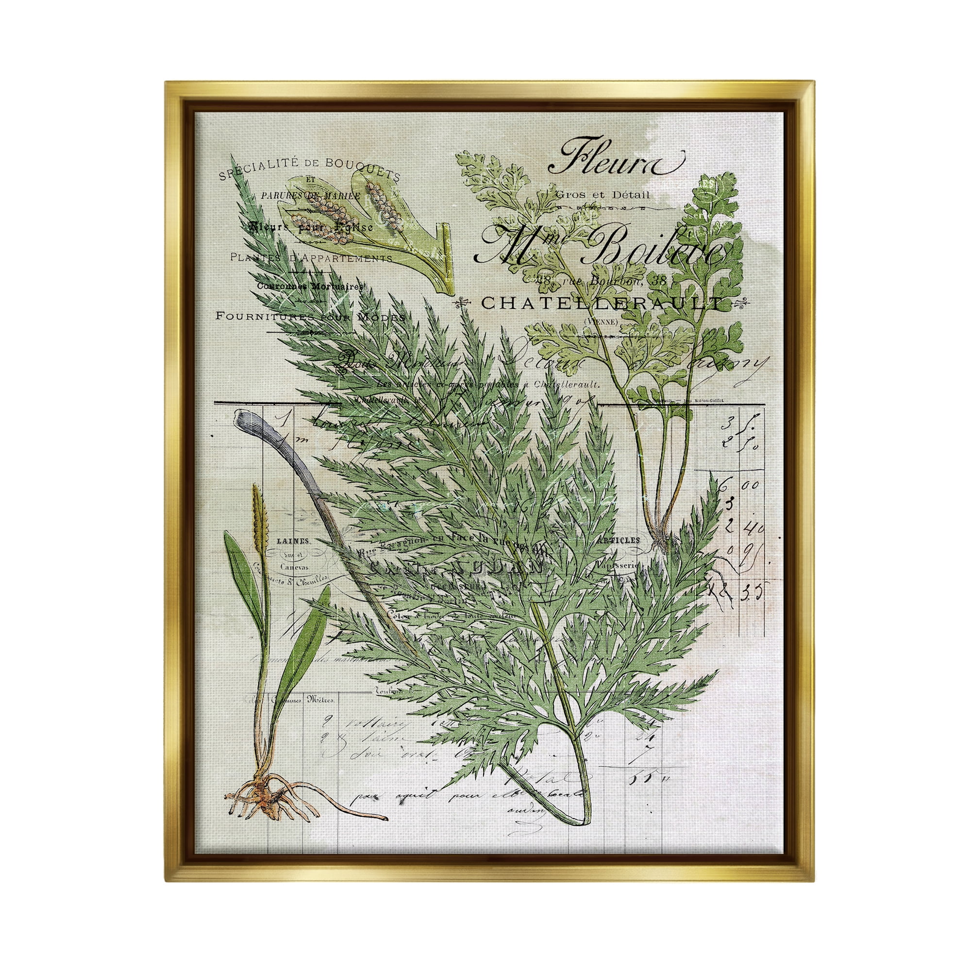 Stupell Vintage Nature Fern Studies Botanical & Floral Painting Gold ...