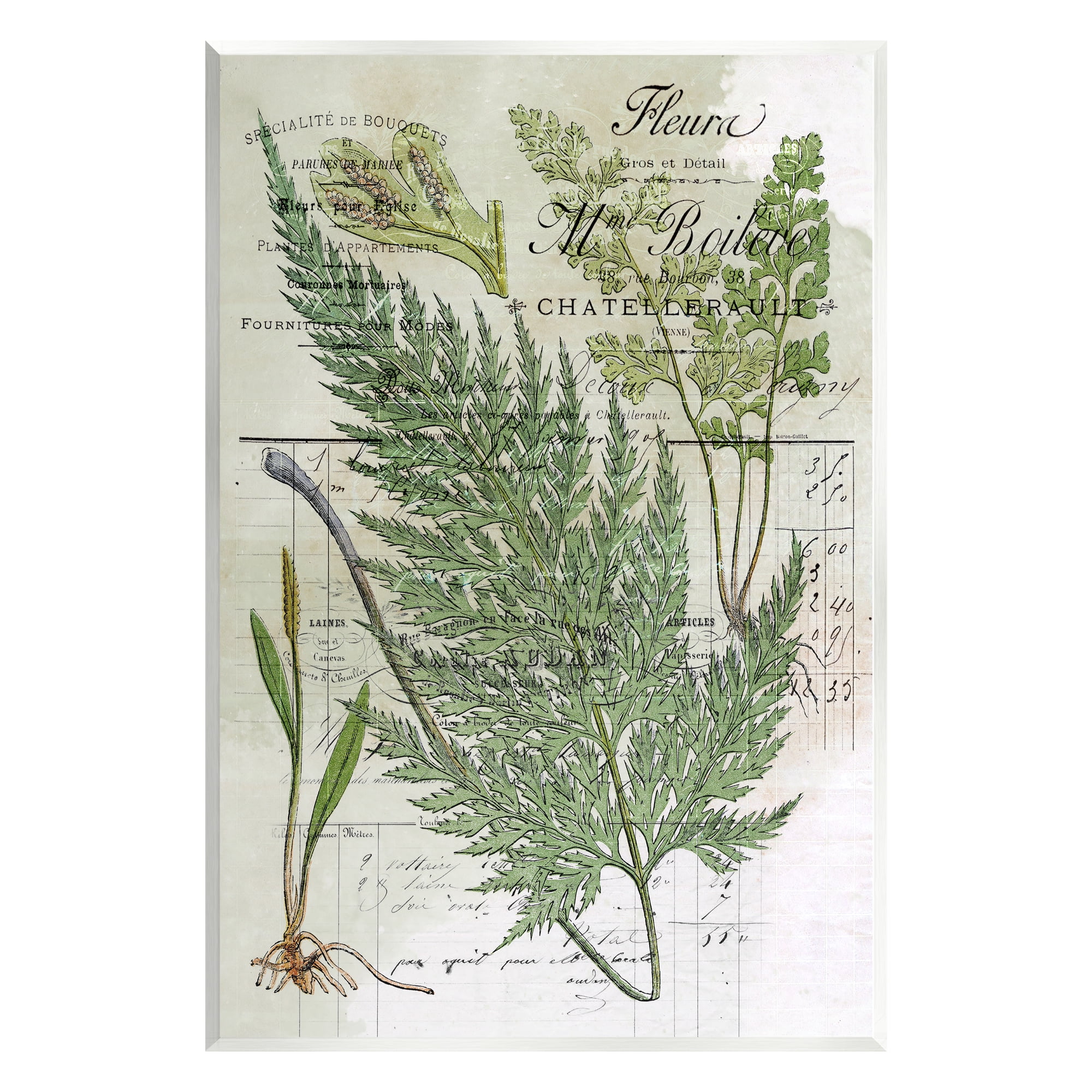 Stupell Vintage Nature Fern Studies Botanical & Floral Painting Wall ...