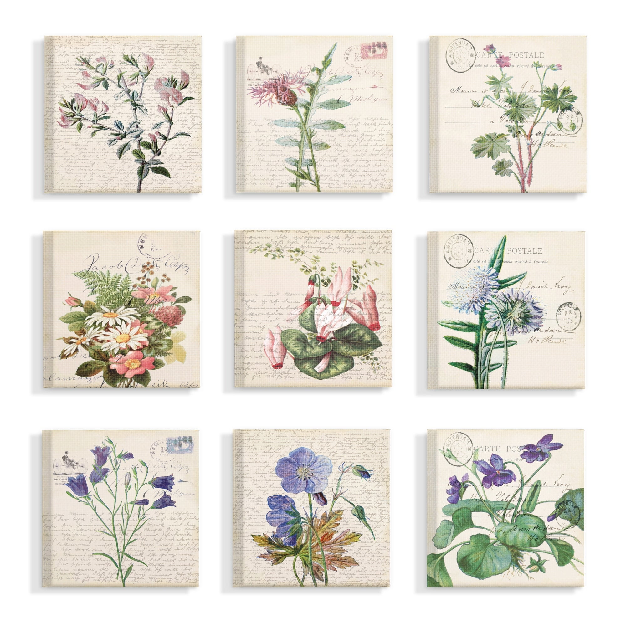 Stupell Vintage Postcard Script Flower Illustrations, 9pc Multi Piece ...