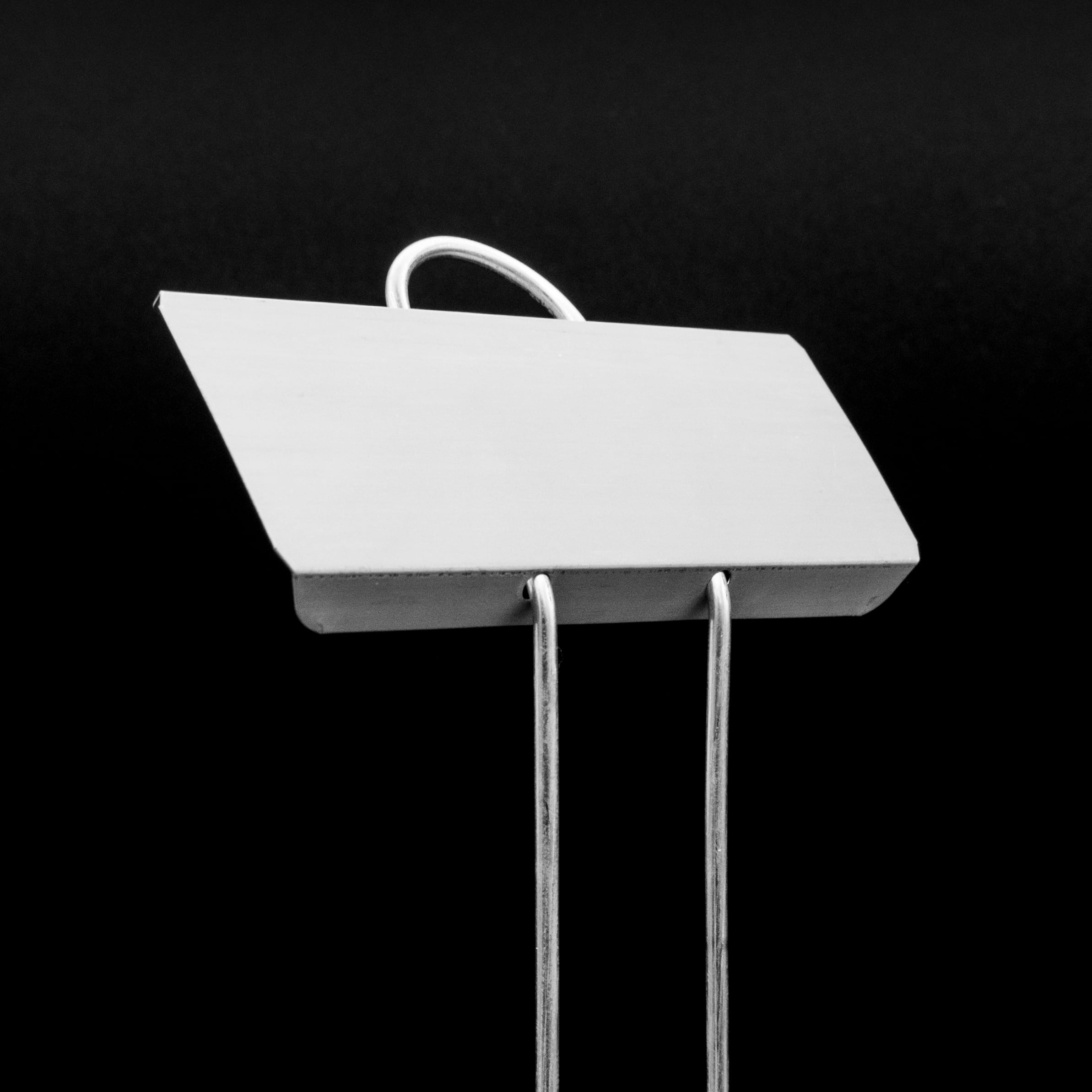 Paw Paw Everlast Label