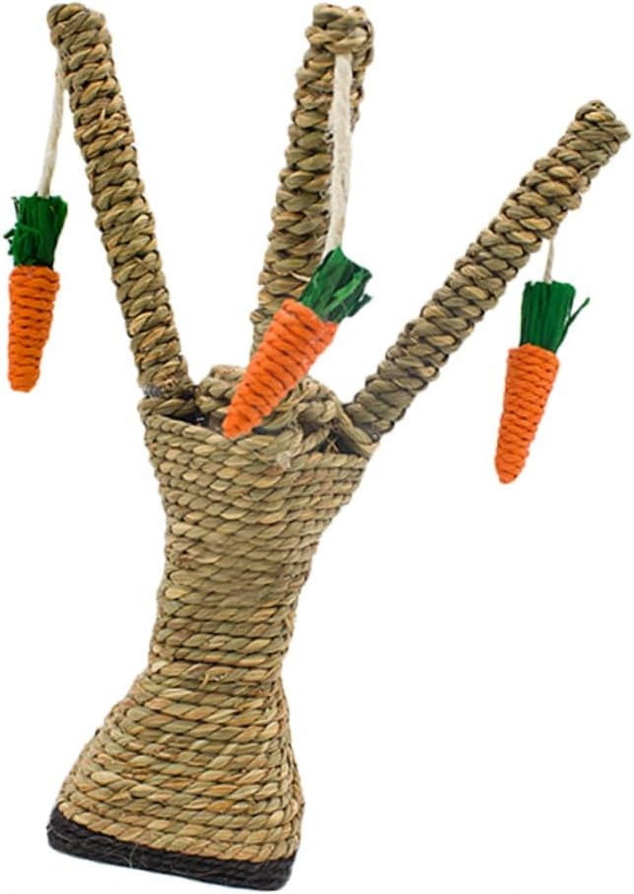 Sturdy Cat Scratch Pad Tree Toy Tree Branch and Hanging Carrot ...