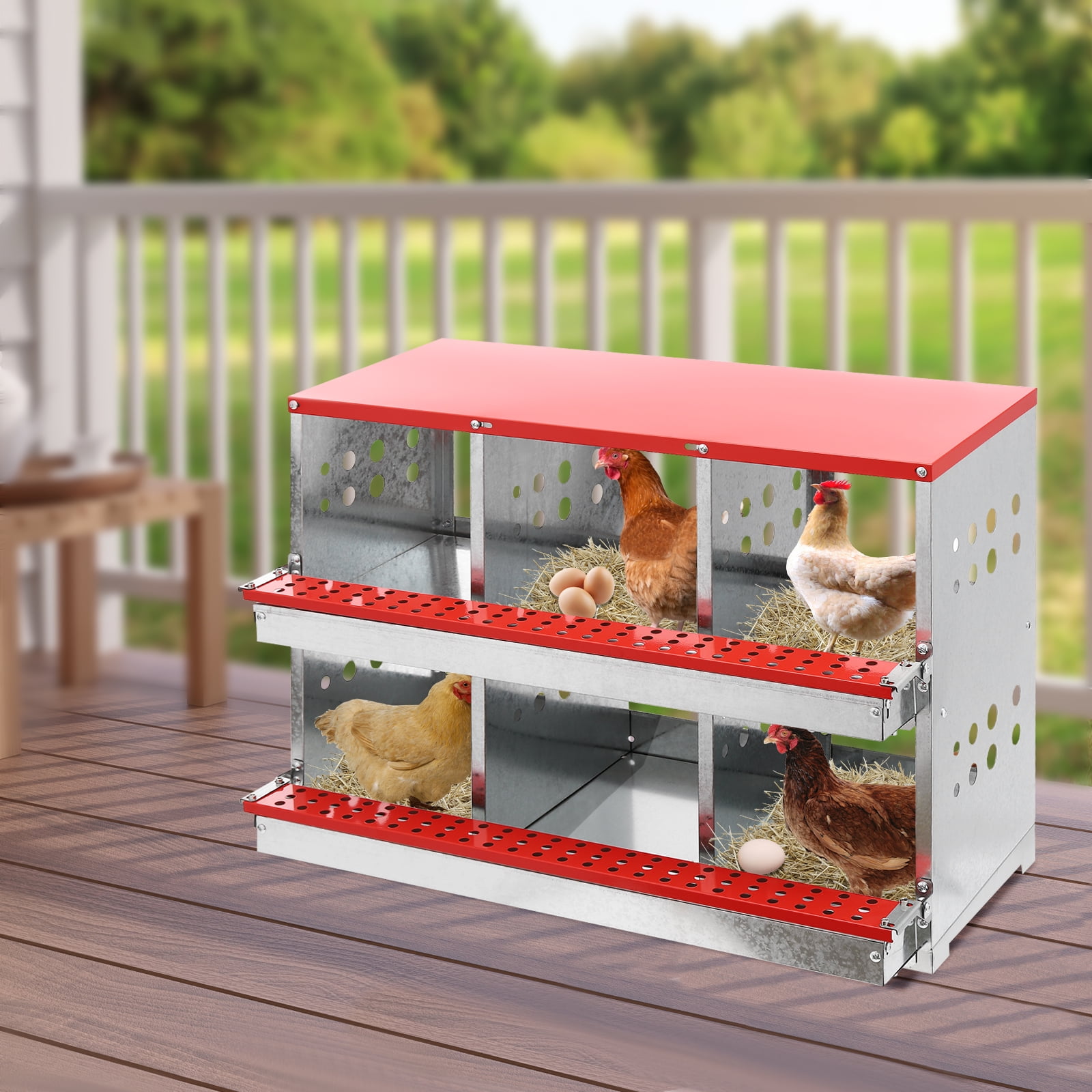 Sturdy Chicken Nesting Box, 6 Compartments, Galvanized Steel ...