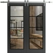 Sturdy Double Barn Door with | Felicia 3355 Matte Black with Clear ...