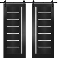 Sturdy Double Barn Door with | Felicia 3355 Matte Black with Clear ...