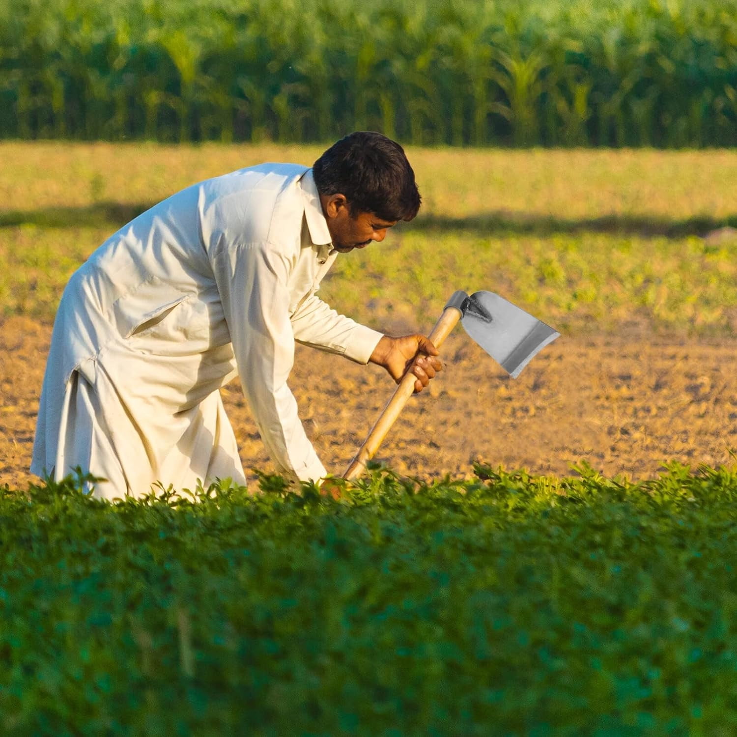 Sturdy and Durable Heavy Duty Stainless Steel Farm Agriculture Hoe Head ...