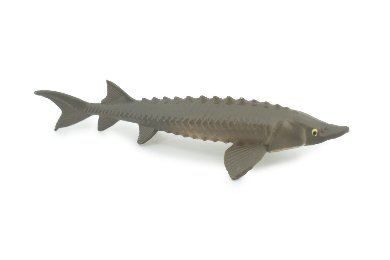 Sturgeon, Hand Painted, Educational, Rubber Fish, Realistic Figure ...