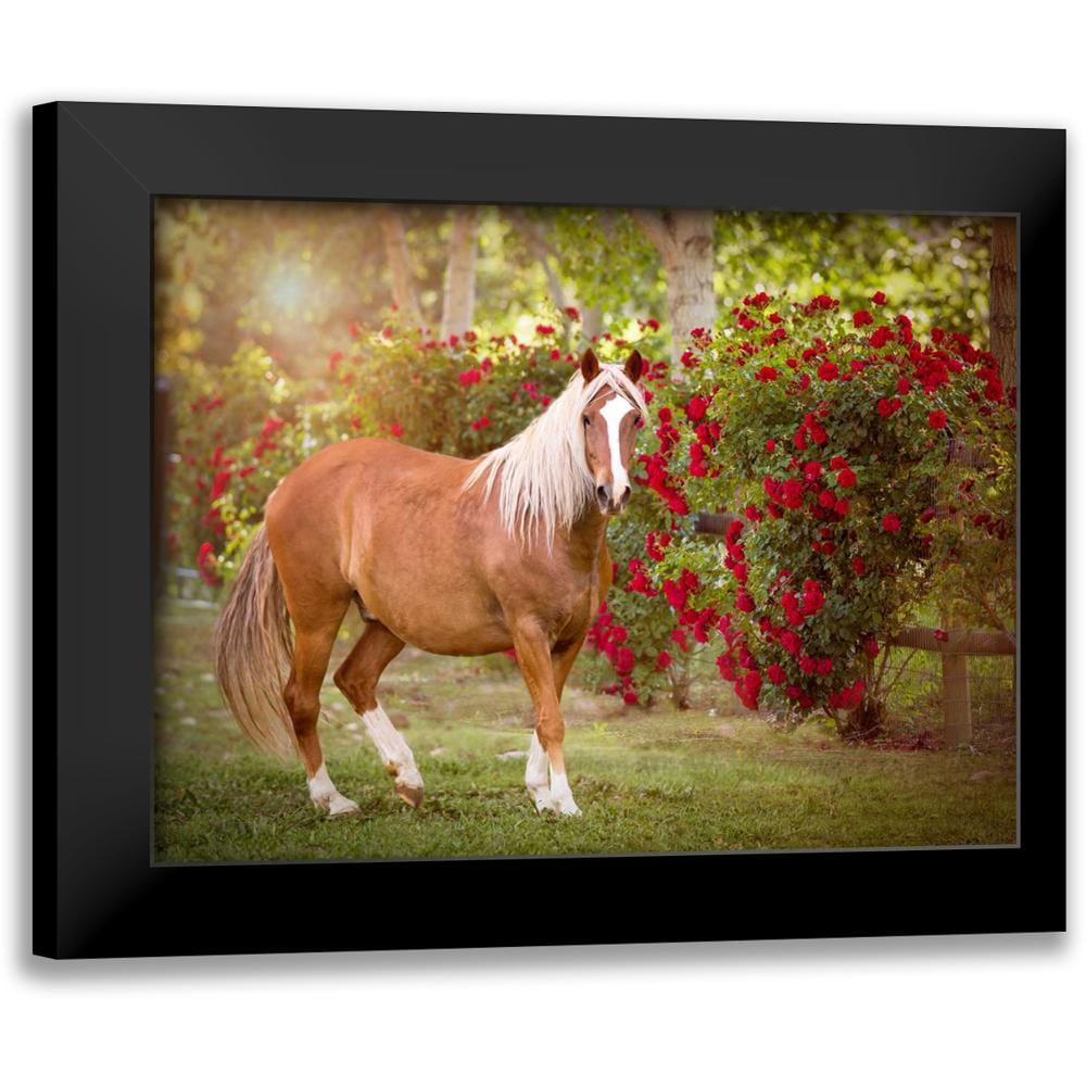 Sturgeon, Ozana 14x12 Black Modern Framed Museum Art Print Titled ...