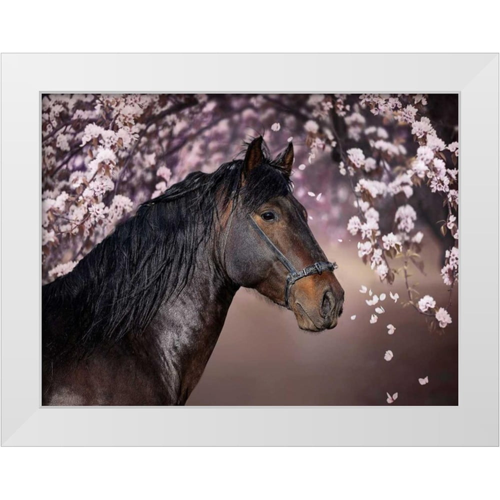 Sturgeon, Ozana 14x12 White Modern Wood Framed Museum Art Print Titled ...