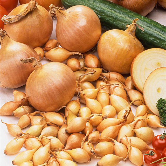 Sturon Yellow Onion Sets, 80 bulbs per offer - Walmart.com