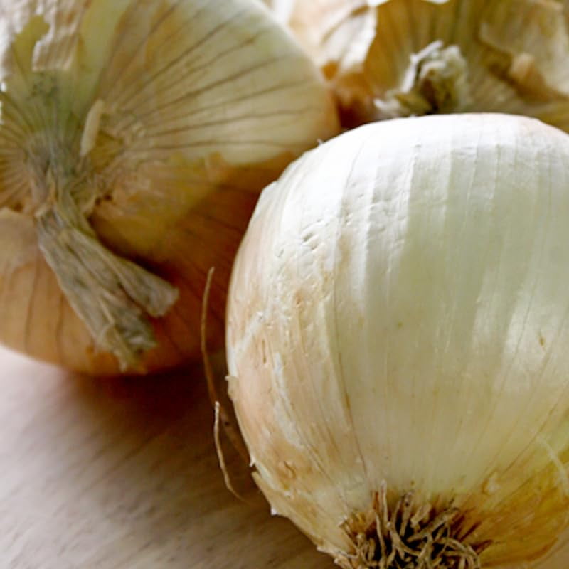 Stuttgarter Yellow Onion Sets - 100 Bulbs per Pack - Grow Your own ...