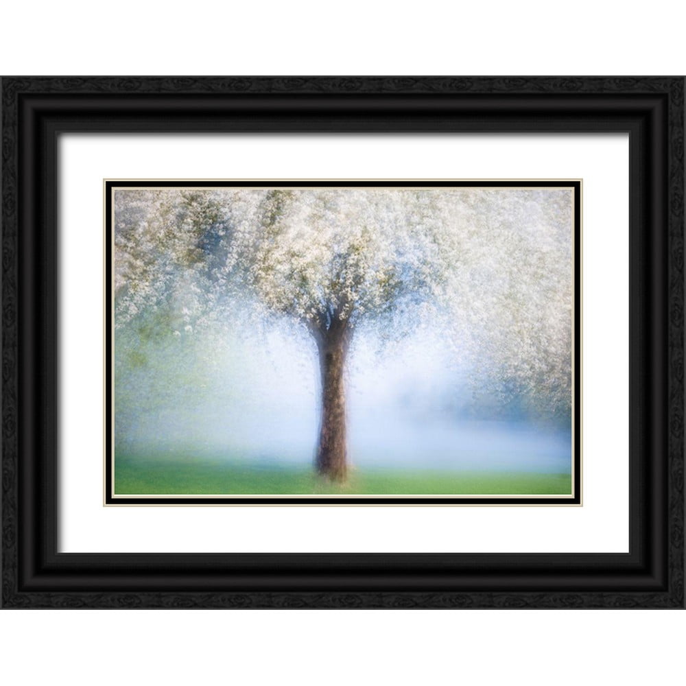 Stutz, Martina 18x13 Black Ornate Wood Framed with Double Matting ...