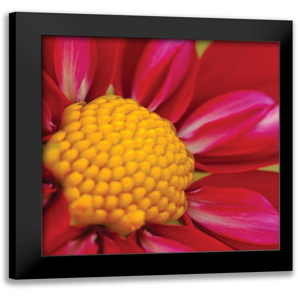 Styber, Dana 20x20 Black Modern Framed Museum Art Print Titled ...