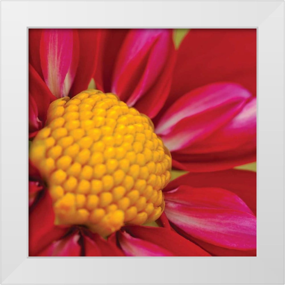 Styber, Dana 20x20 White Modern Wood Framed Museum Art Print Titled ...