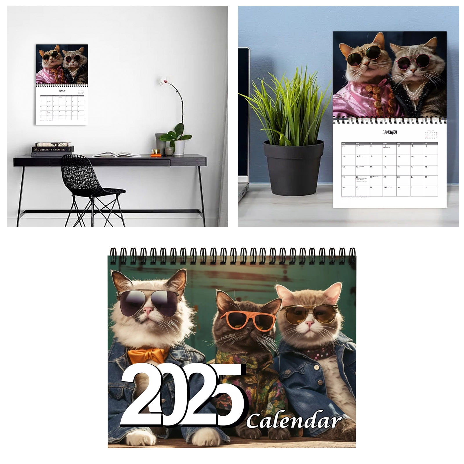 Stylish Cats Calendar 2025: Chic Feline Friends In Sunglasses & Denim ...
