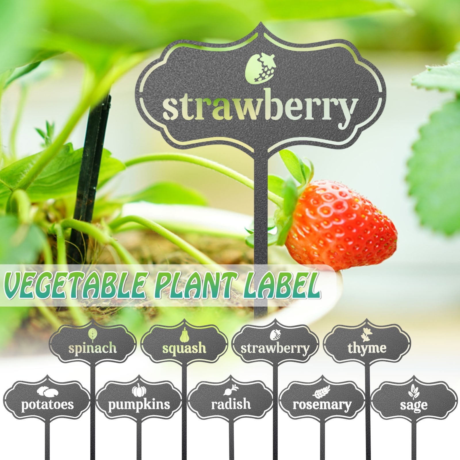 Stylish Garden Stakes, Durable Fruit Vegetable Tags, Weatherproof, Rust ...