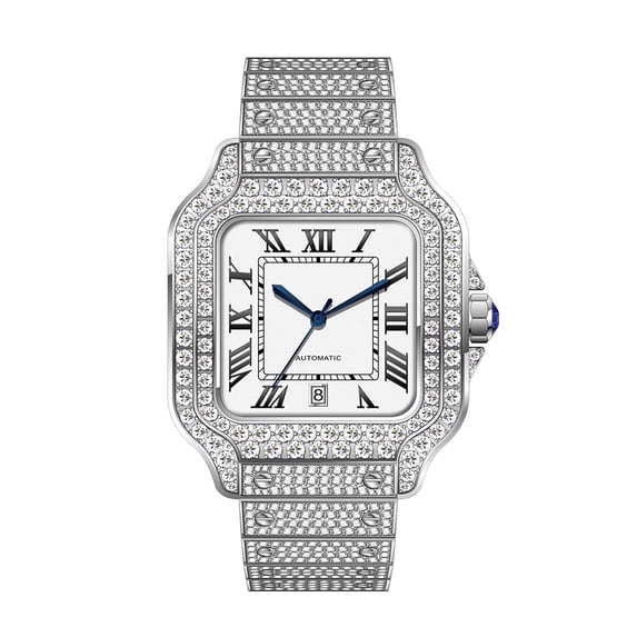 Stylish Hip Hop Iced Out VVS Moissanite Automatic Watch, D Color Stones ...