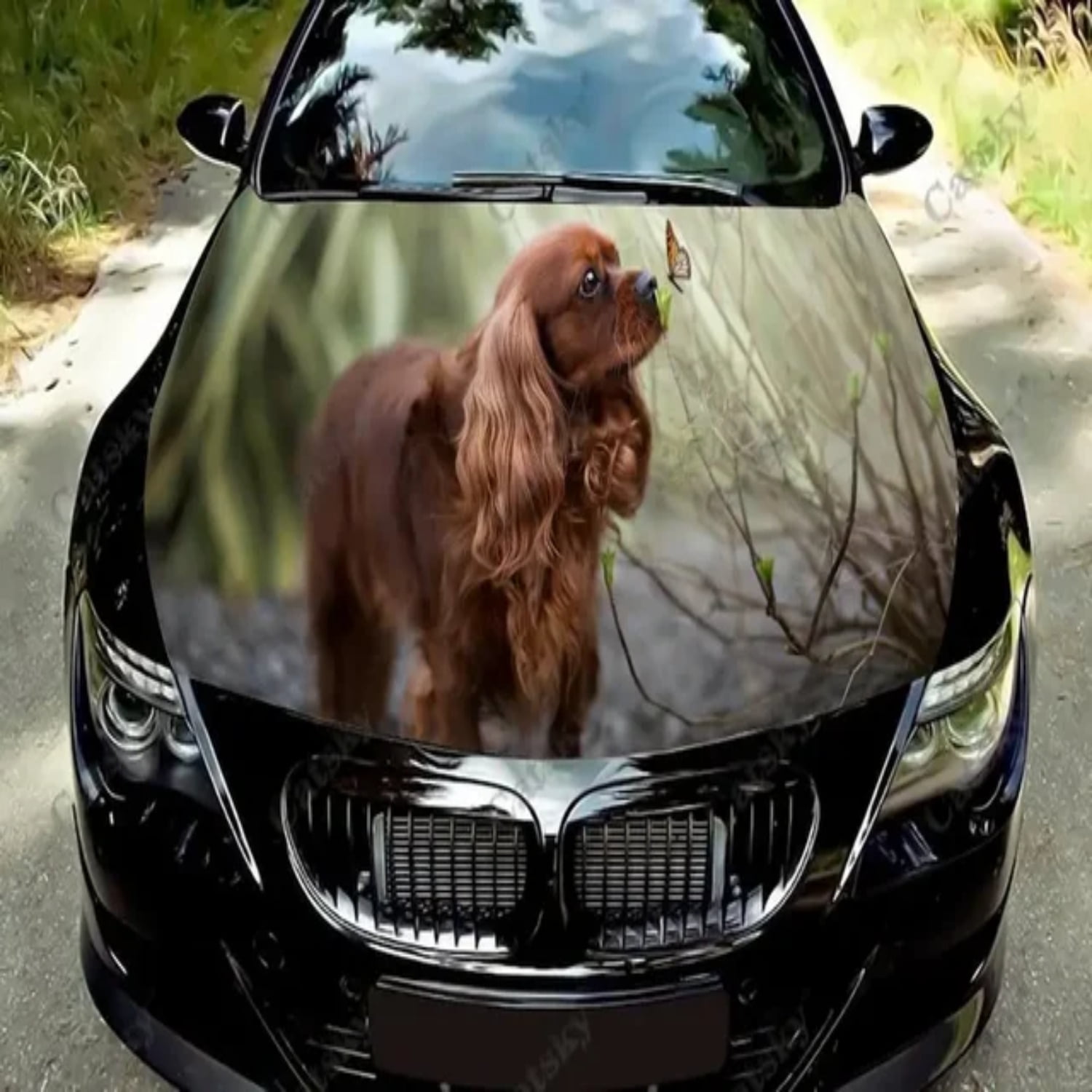 Stylish King Charles Spaniel Car Hood Vinyl Wrap Decal Stickers ...