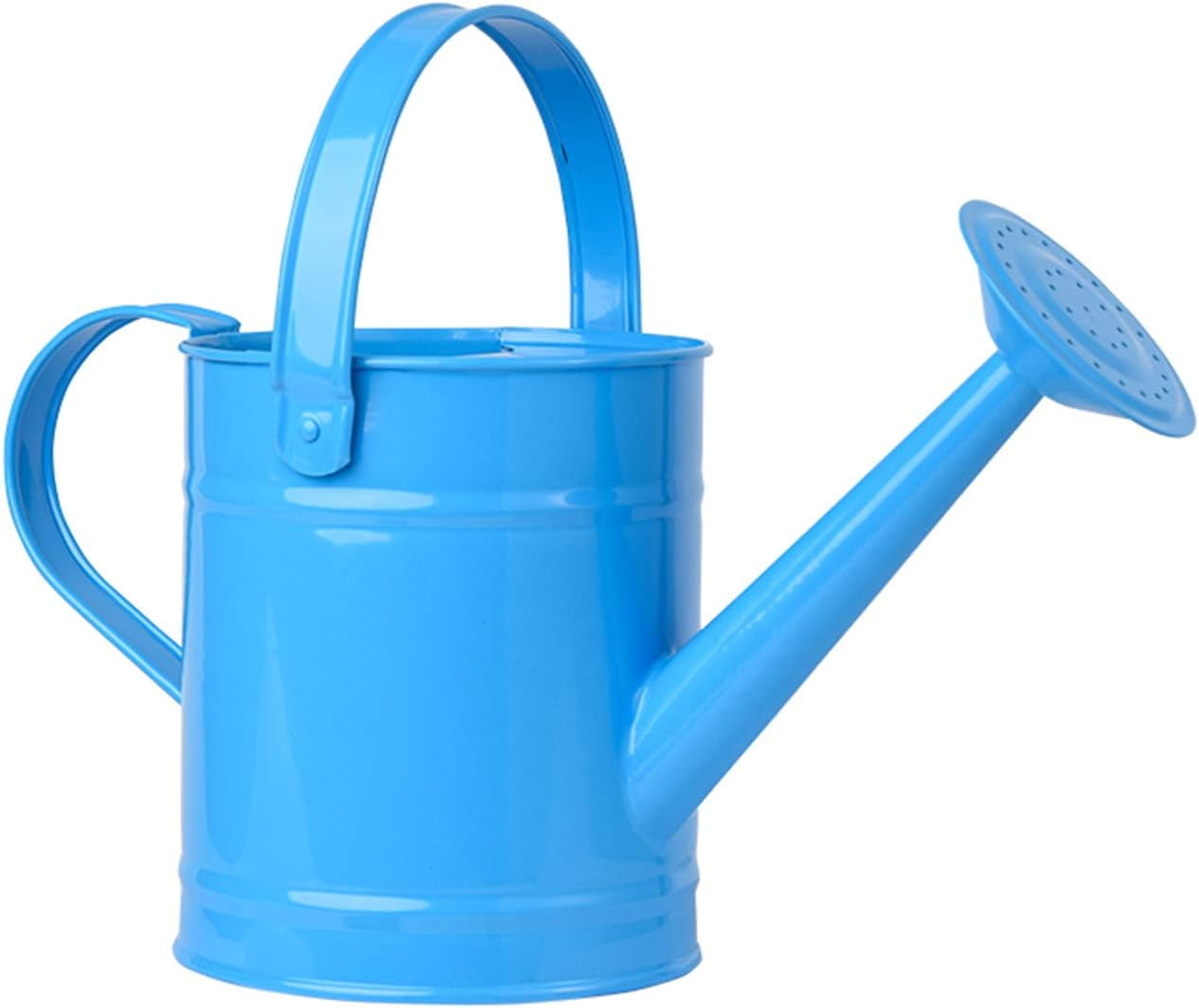 Stylish Metal Watering Can, Perfect for Indoor and Outdoor Plants ...