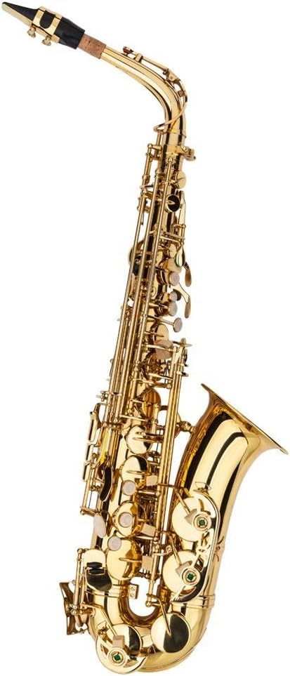 Stylish Mid-range Alto Drop E Lacquered Golden Saxophone Painted Golden ...