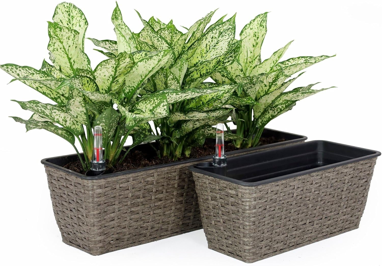 Stylish Self-Watering Planter Set - Hand Woven Wicker Pots with ...