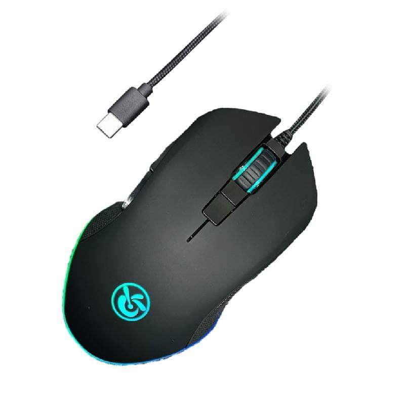 Stylish Type C Mouse Ergonomic USB C Mice 6 Buttons 3600DPI for Type C ...