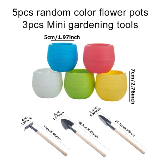 Stylish and Vibrant TMZ Mini Plastic Flower Pot Set - Ideal and ...