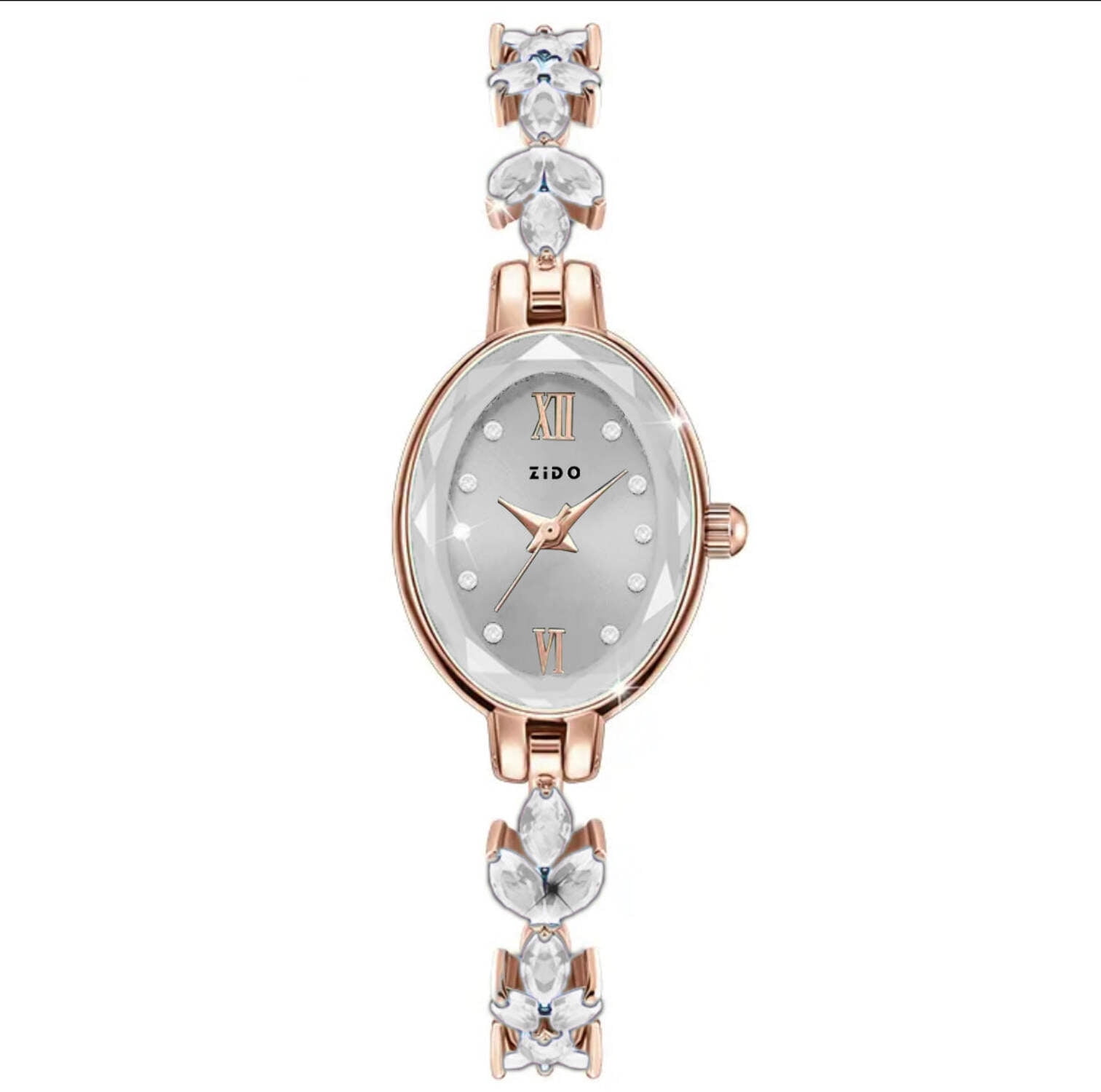 Stylish Waterproof Oval Women's Wrist Watch in Multiple Colours ...
