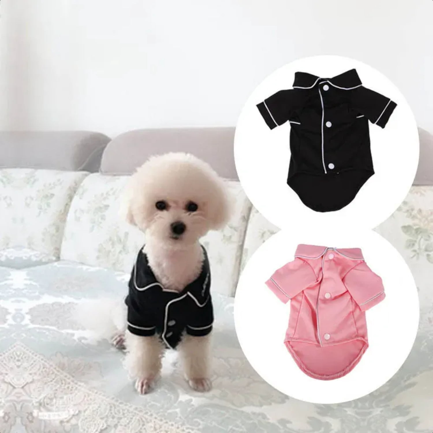 Stylish and adorable pet clothes for chic pups - Italian greyhound ...