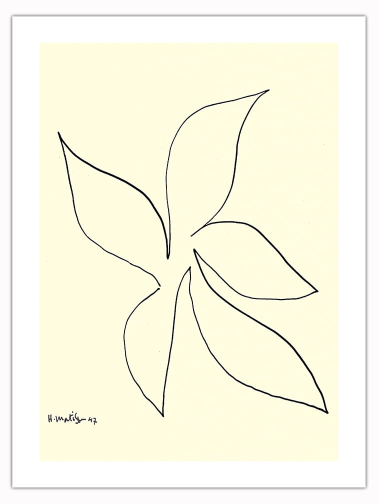 Stylized Hyacinth - Ink on Paper by Henri Matisse c.1947 - Bamboo Fine ...